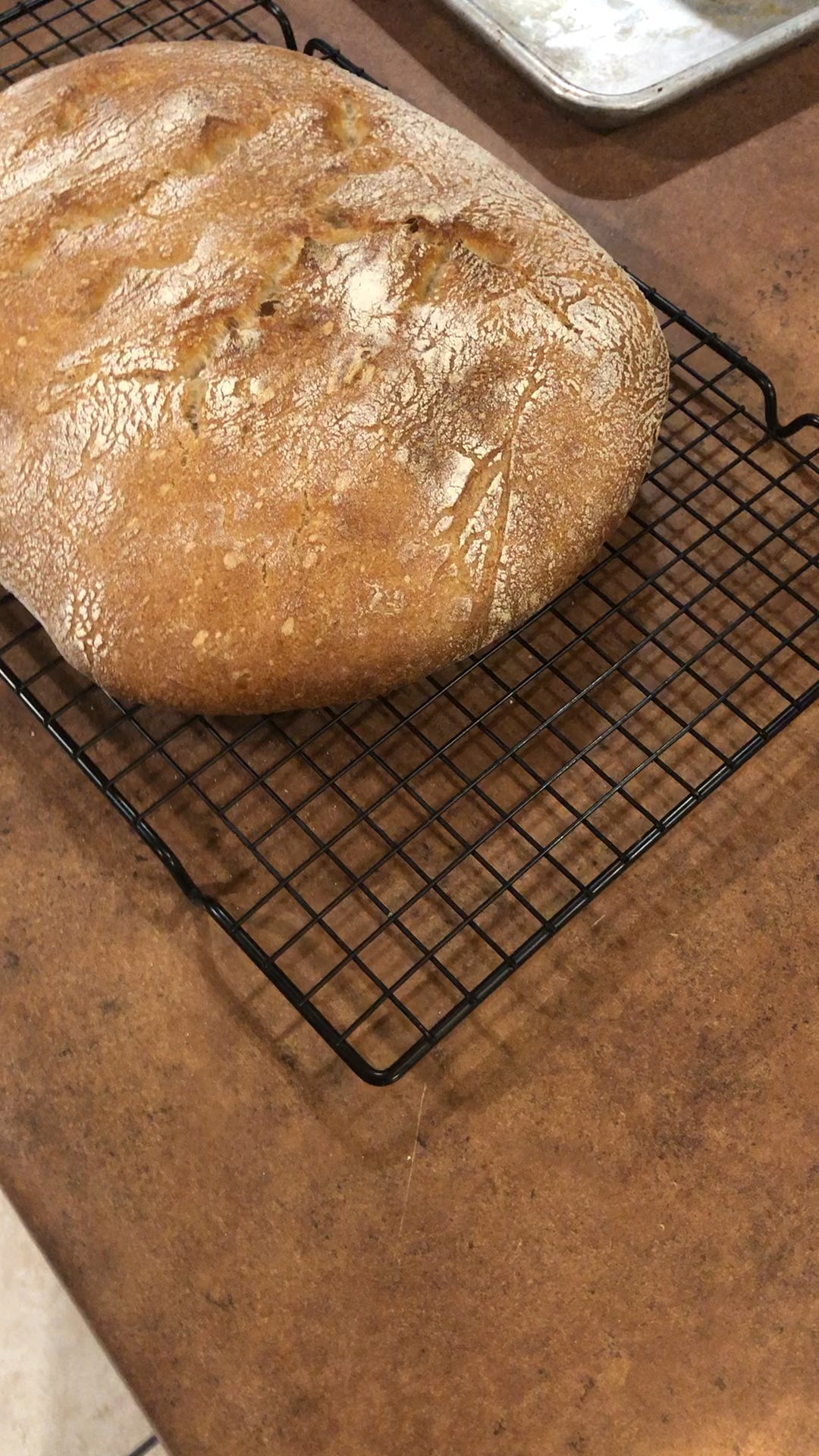 The sweat song of sourdough bread - Dining and Cooking