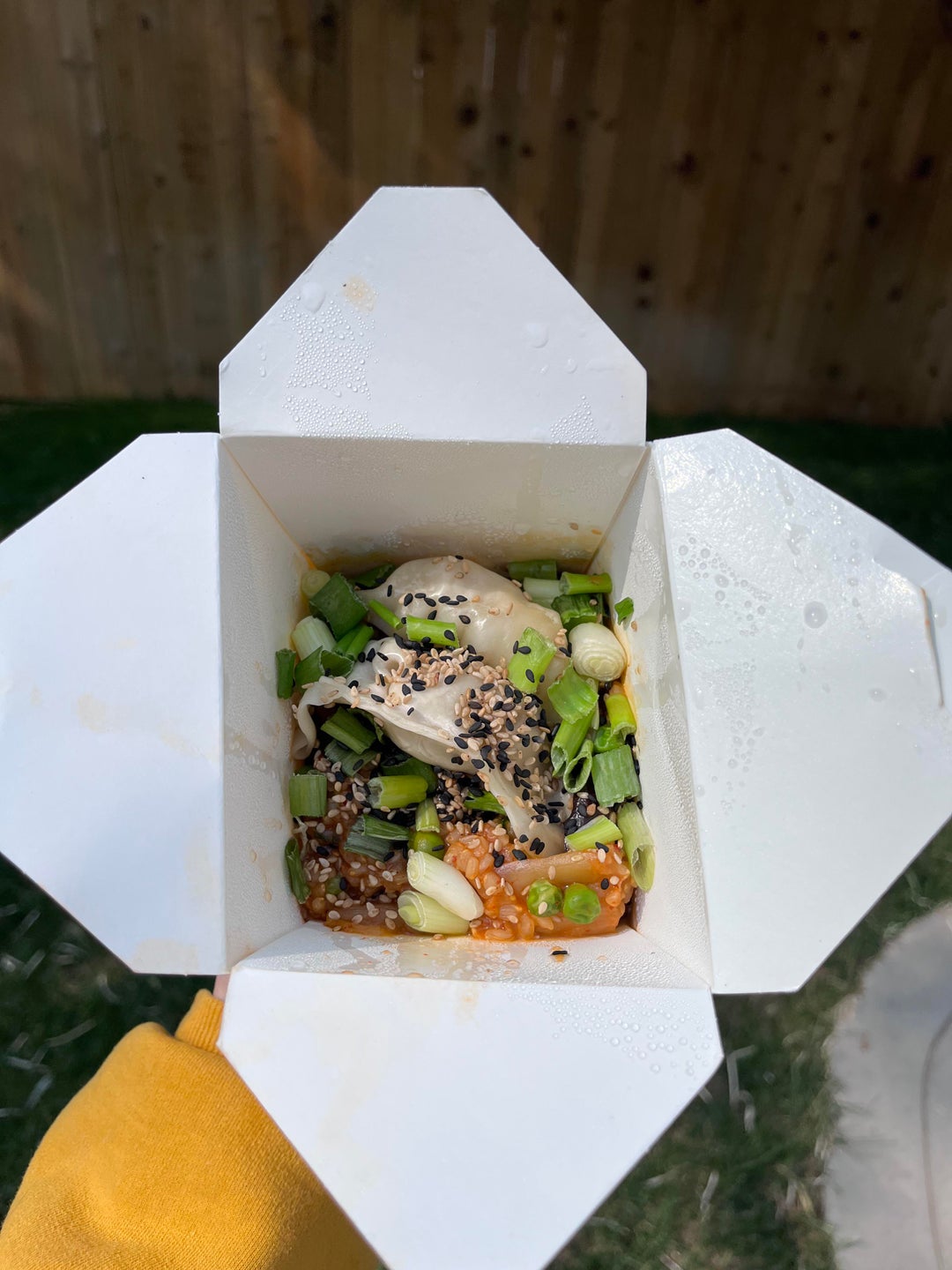 Purchased bulk takeout boxes for presentation. Kimchi fried rice and ...