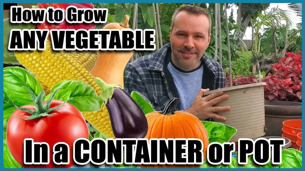 How to Grow Vegetables in Containers // Container Gardening // Self ...