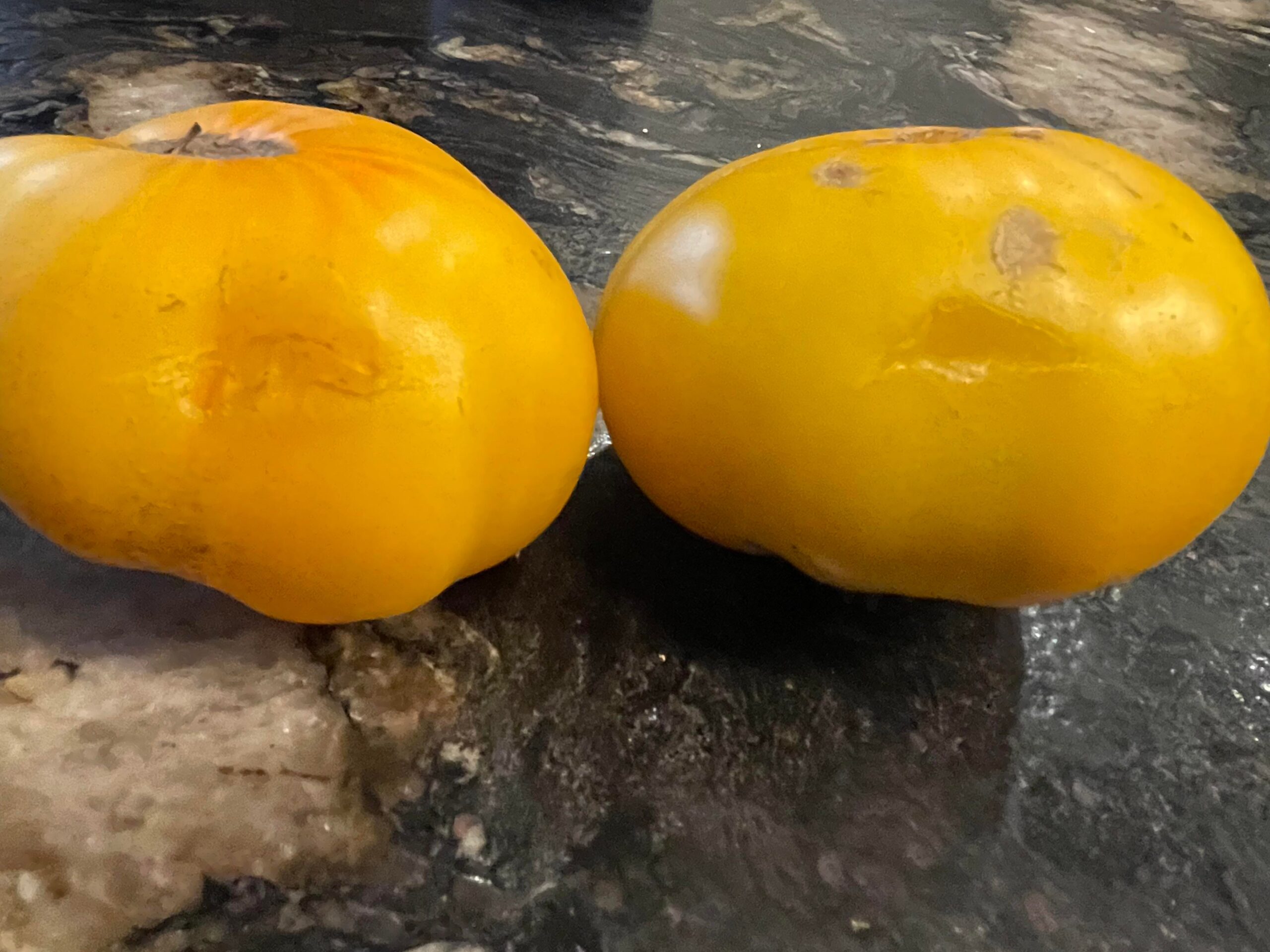 Gashes in my tomatoes, bunny teeth? - Dining and Cooking