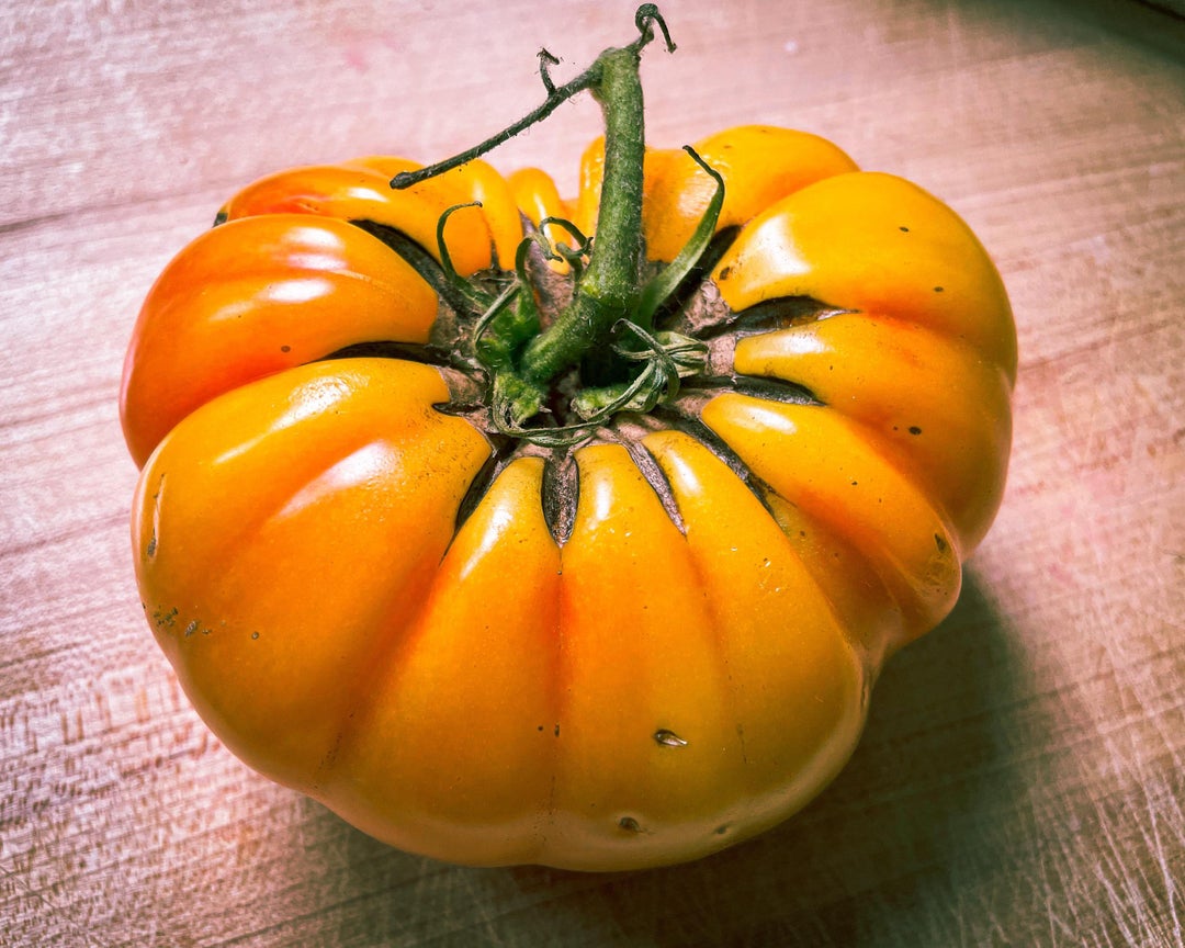 Took all season, but I finally got my first old german tomato to ripen ...