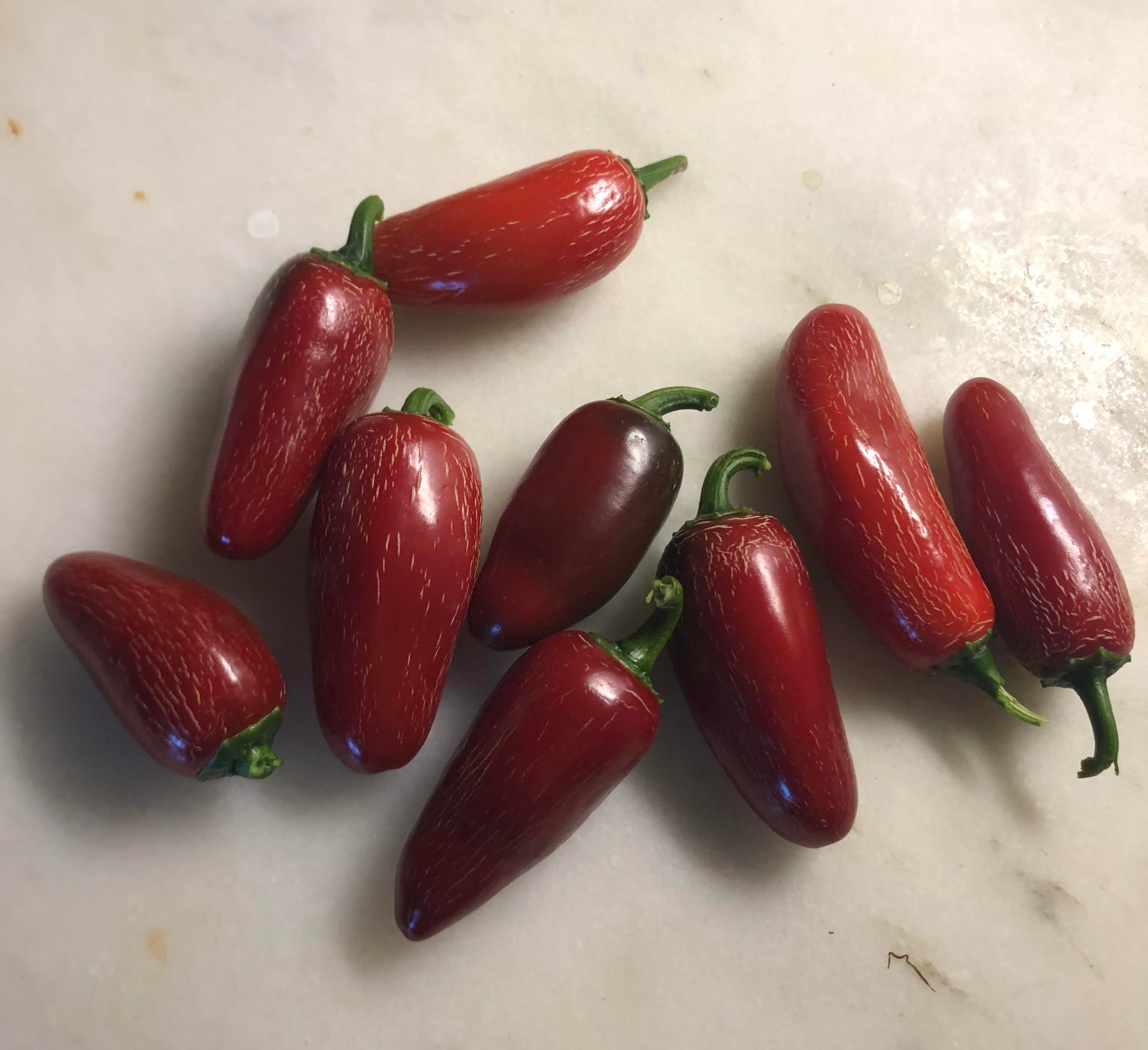 Redder is better - Dining and Cooking