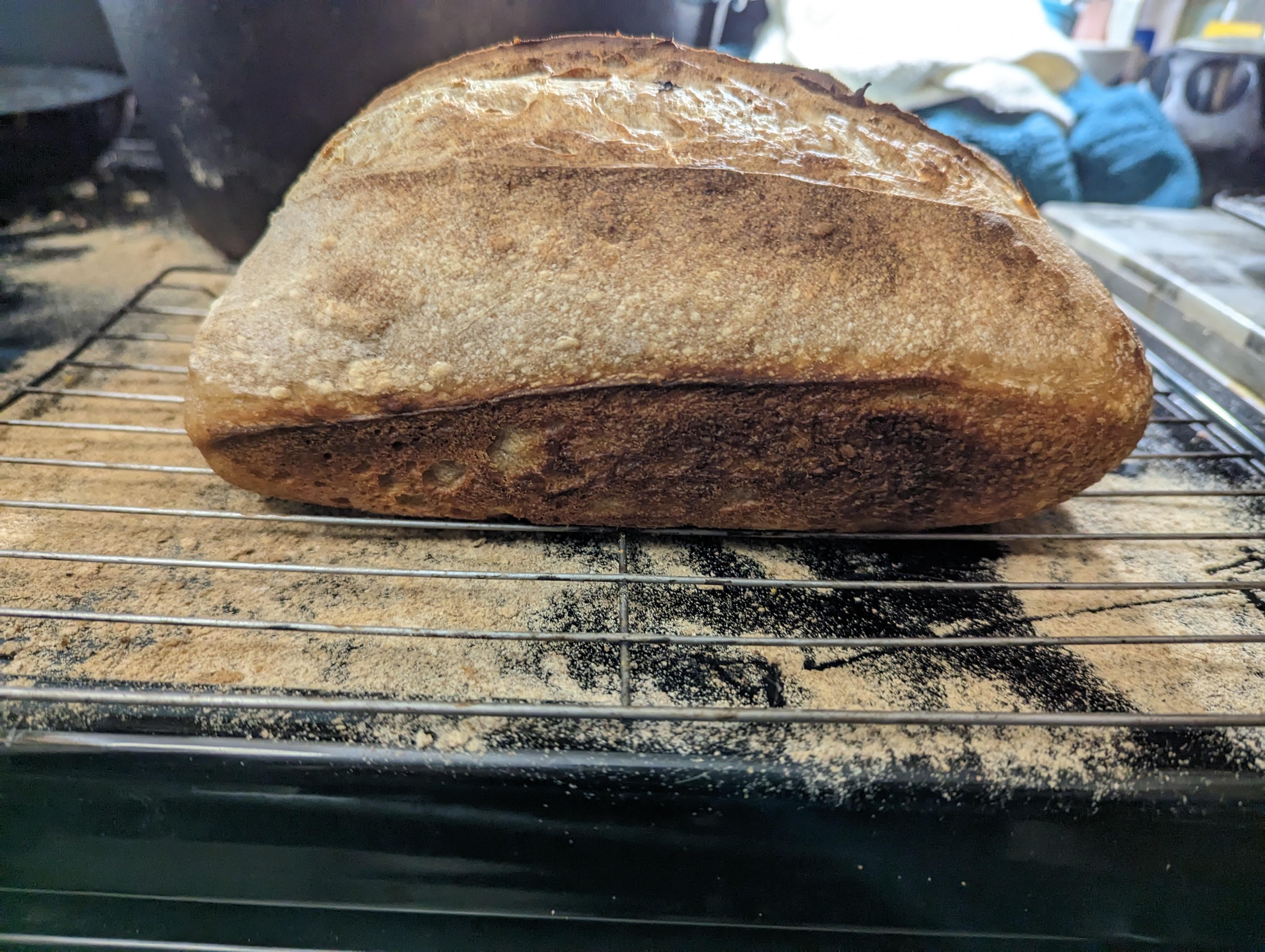 Sourdough loaf (second loaf from thanksgiving batch, dough has been in ...