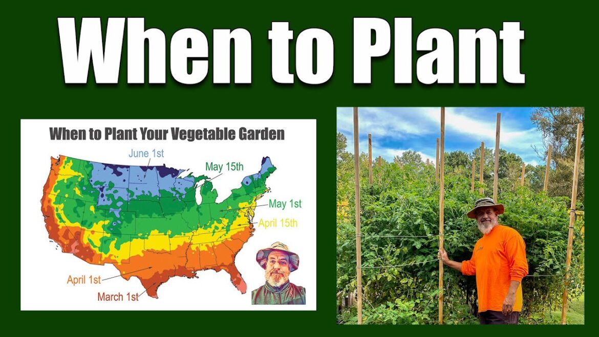When to Plant Vegetable Gardens - Dining and Cooking