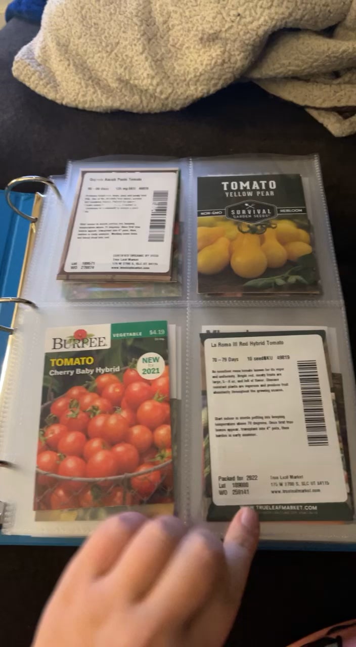 This binder and the sleeves for packets were probably one of my ...