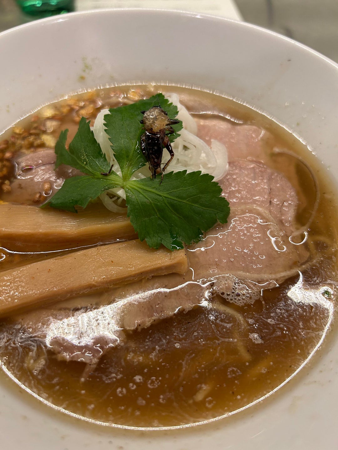 salmon ramen, sea bream tsukemen, cricket ramen, crawfish ramen ...