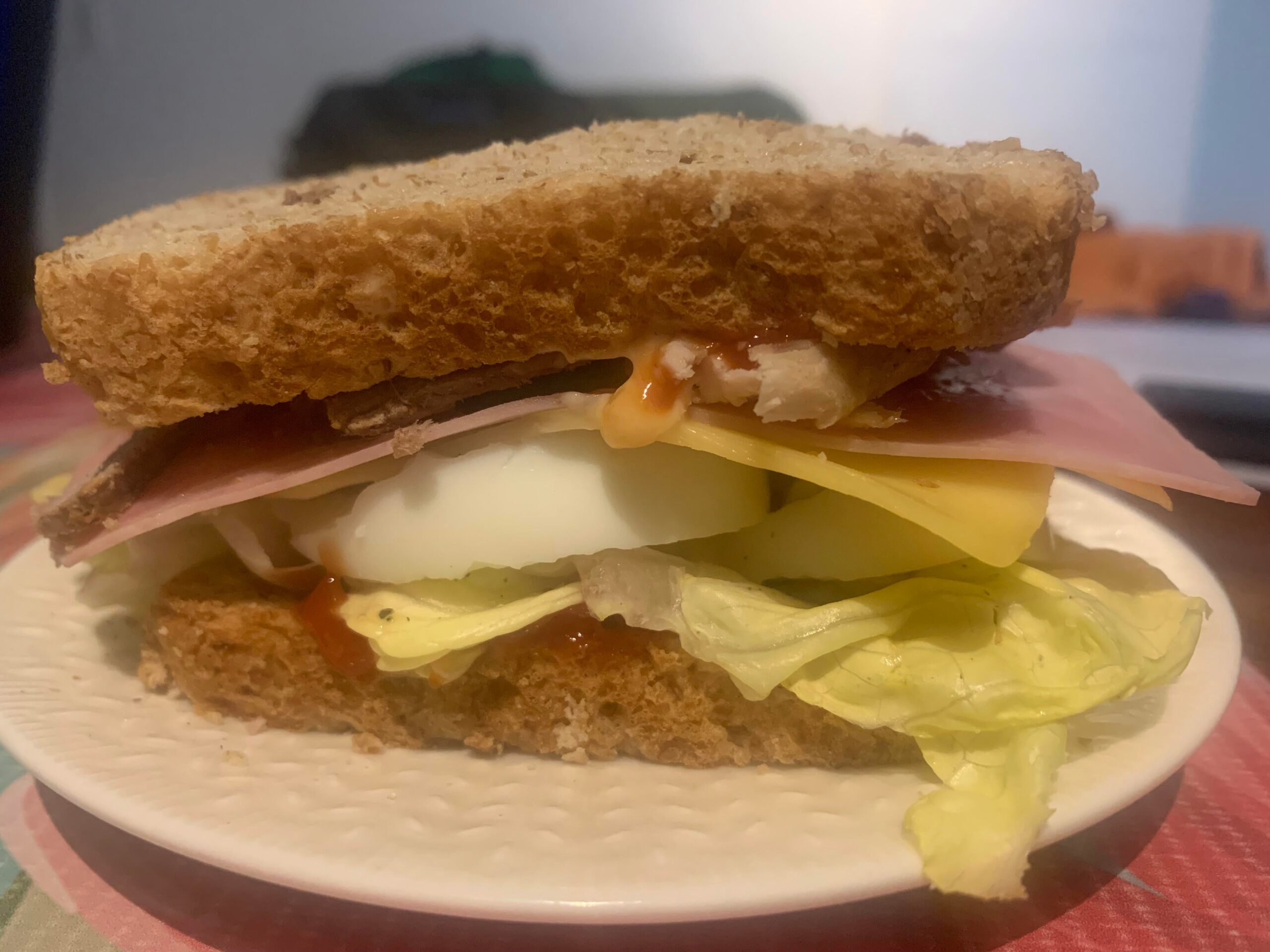 Meet the hi protein sandwich - Dining and Cooking