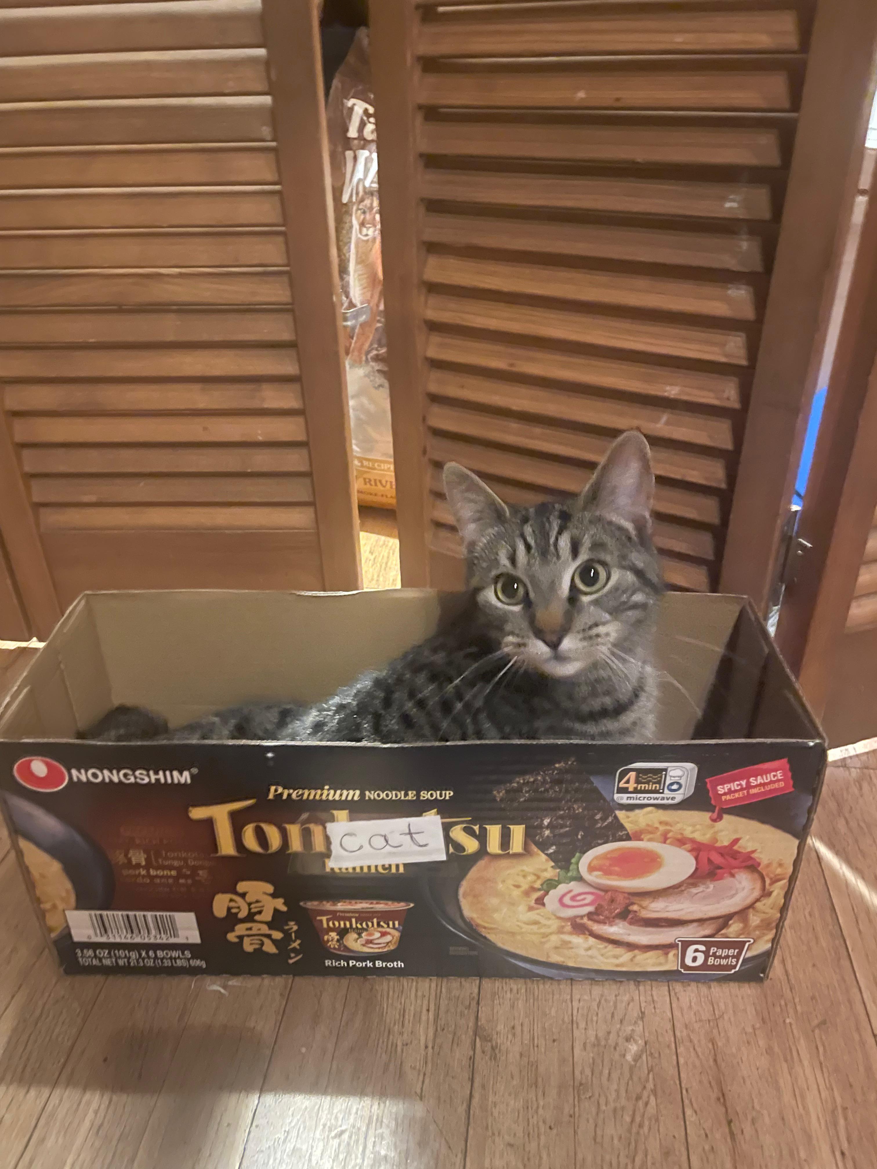 Meow! - Dining and Cooking