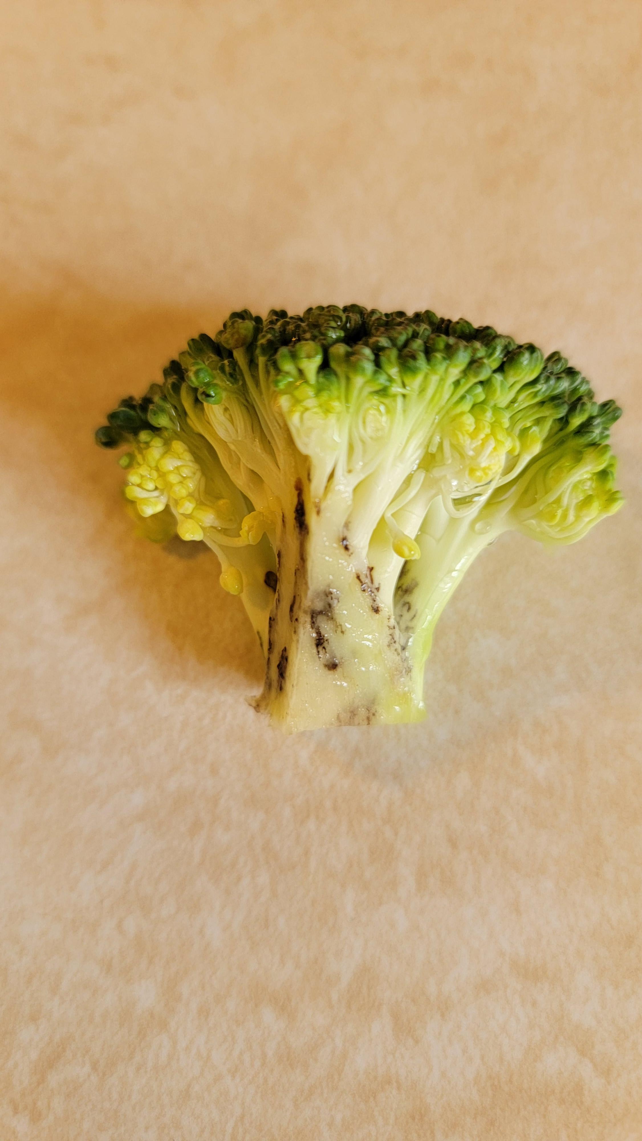 What is this in my broccoli? - Dining and Cooking