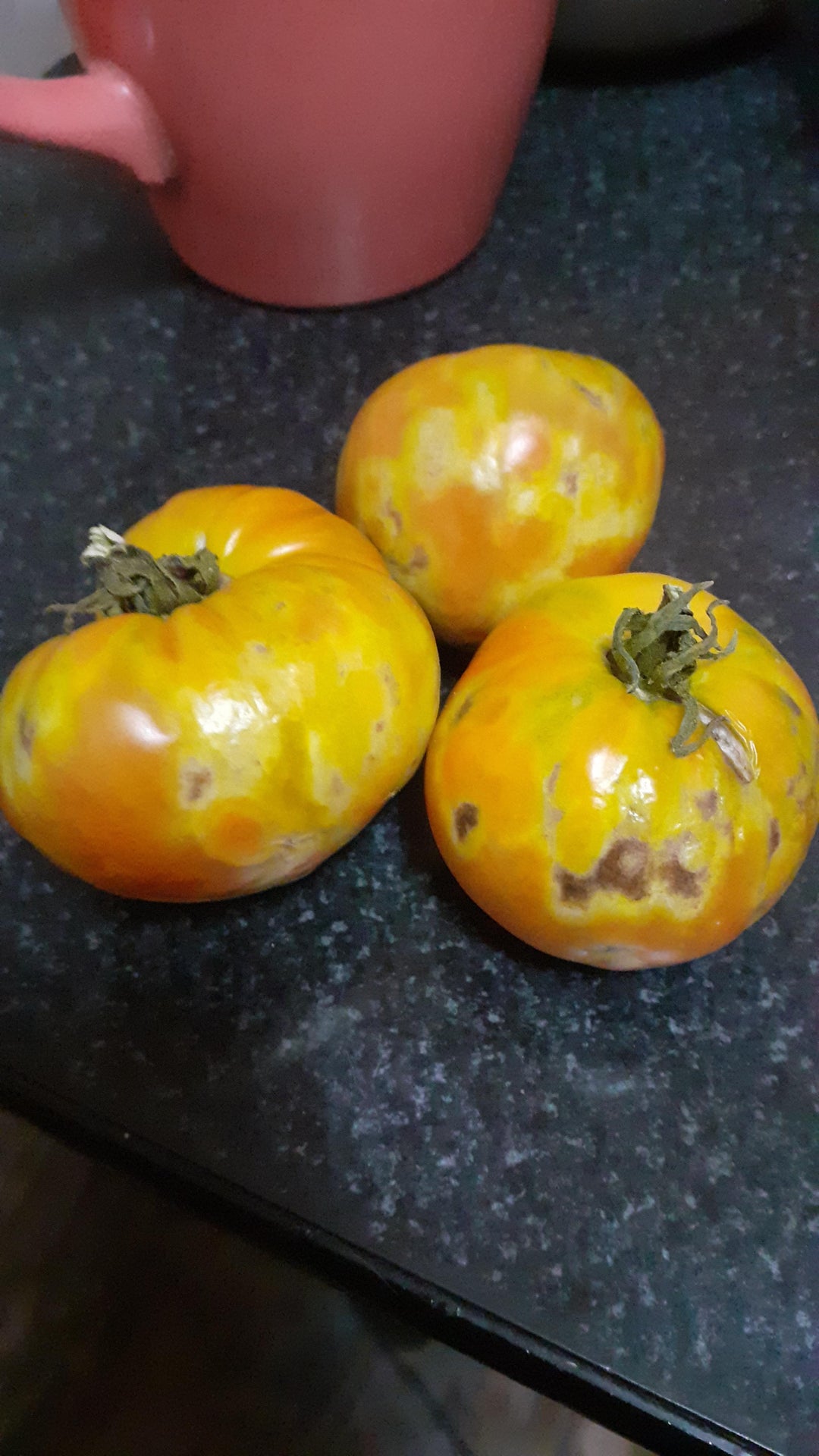 What are this spots 2 (Now with "riped" tomatoes) - Dining and Cooking