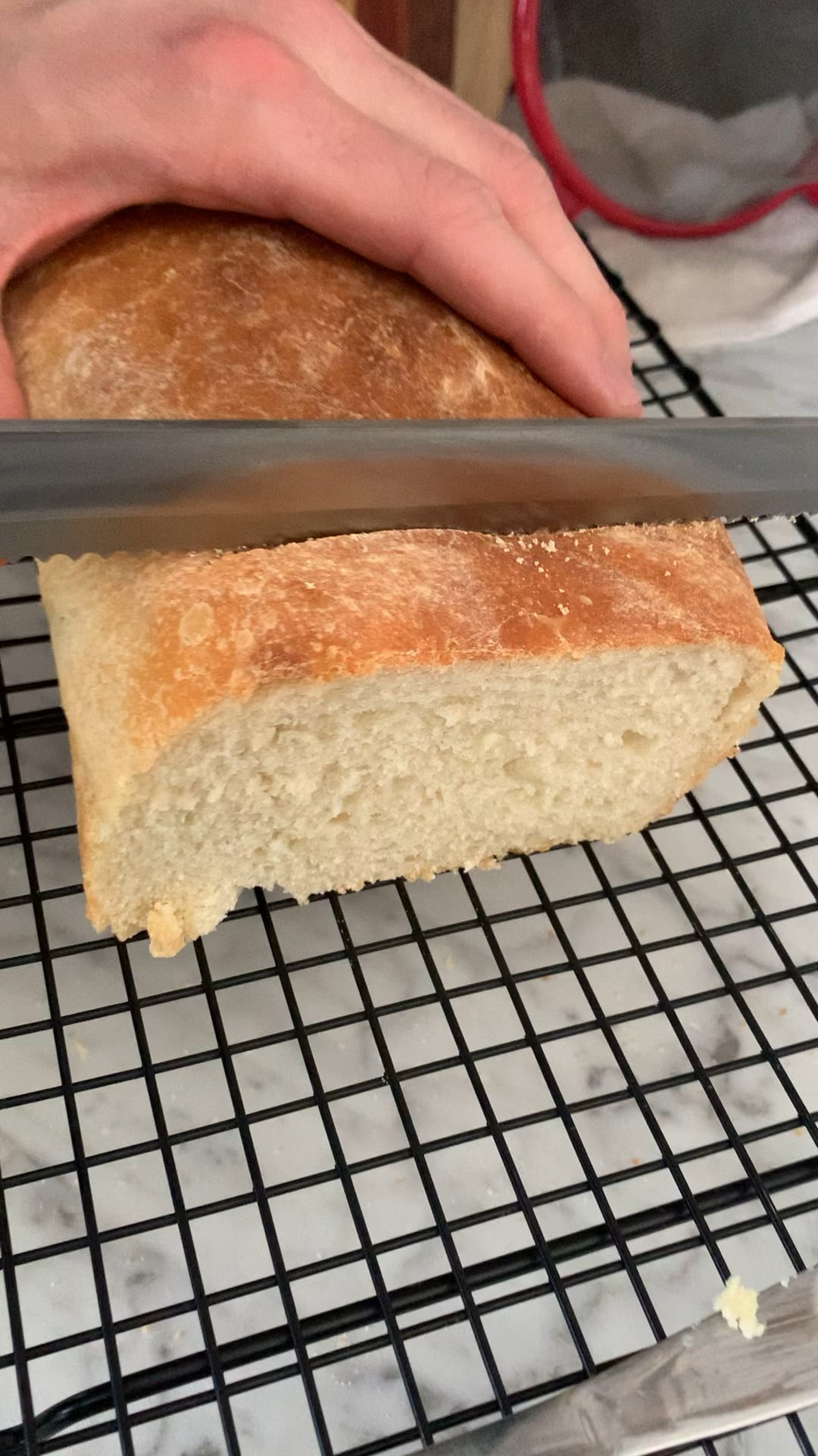 Nothing fancy, just my first try at soft sourdough sandwich bread ...