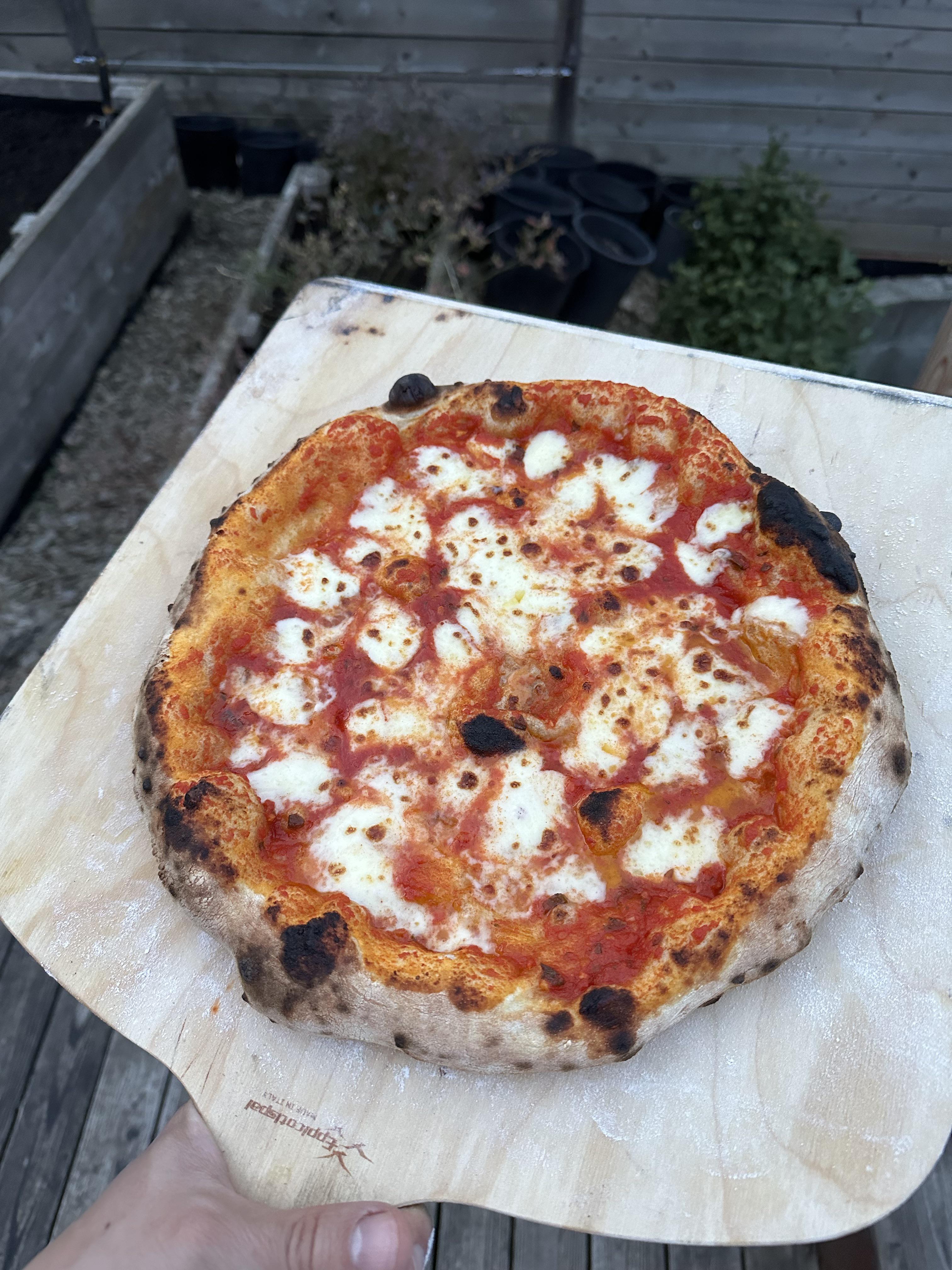 Just a simple cheese pizza from backyard wood-fired oven - Dining and ...