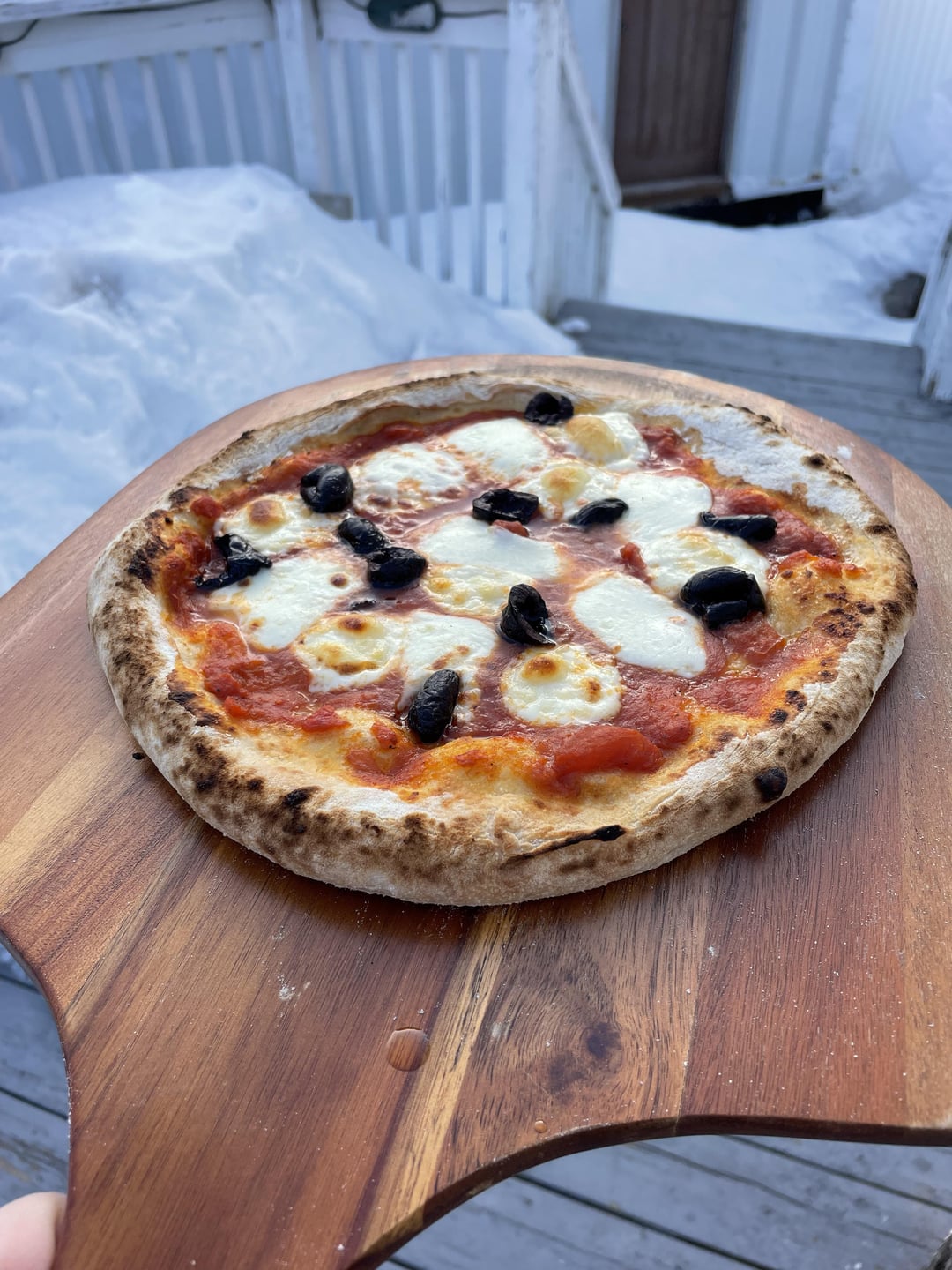 Buff mozz/babybel/cured black olives/olive oil - Dining and Cooking