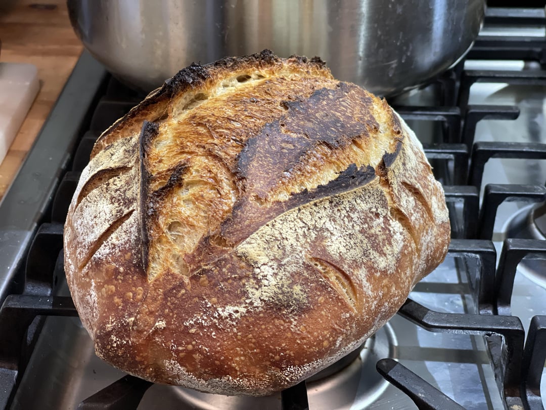 First bake with Maurizio’s Hayden Flour Mill collab bread flour — great ...