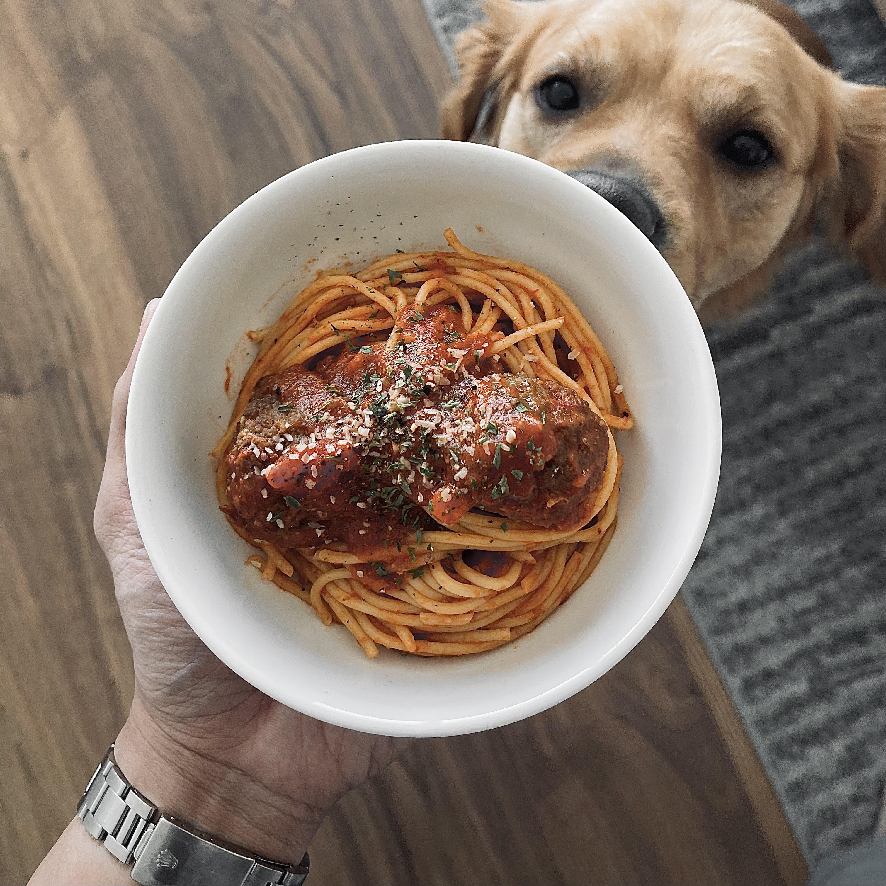 Spaghetti with meatballs and a hungry doggo - Dining and Cooking