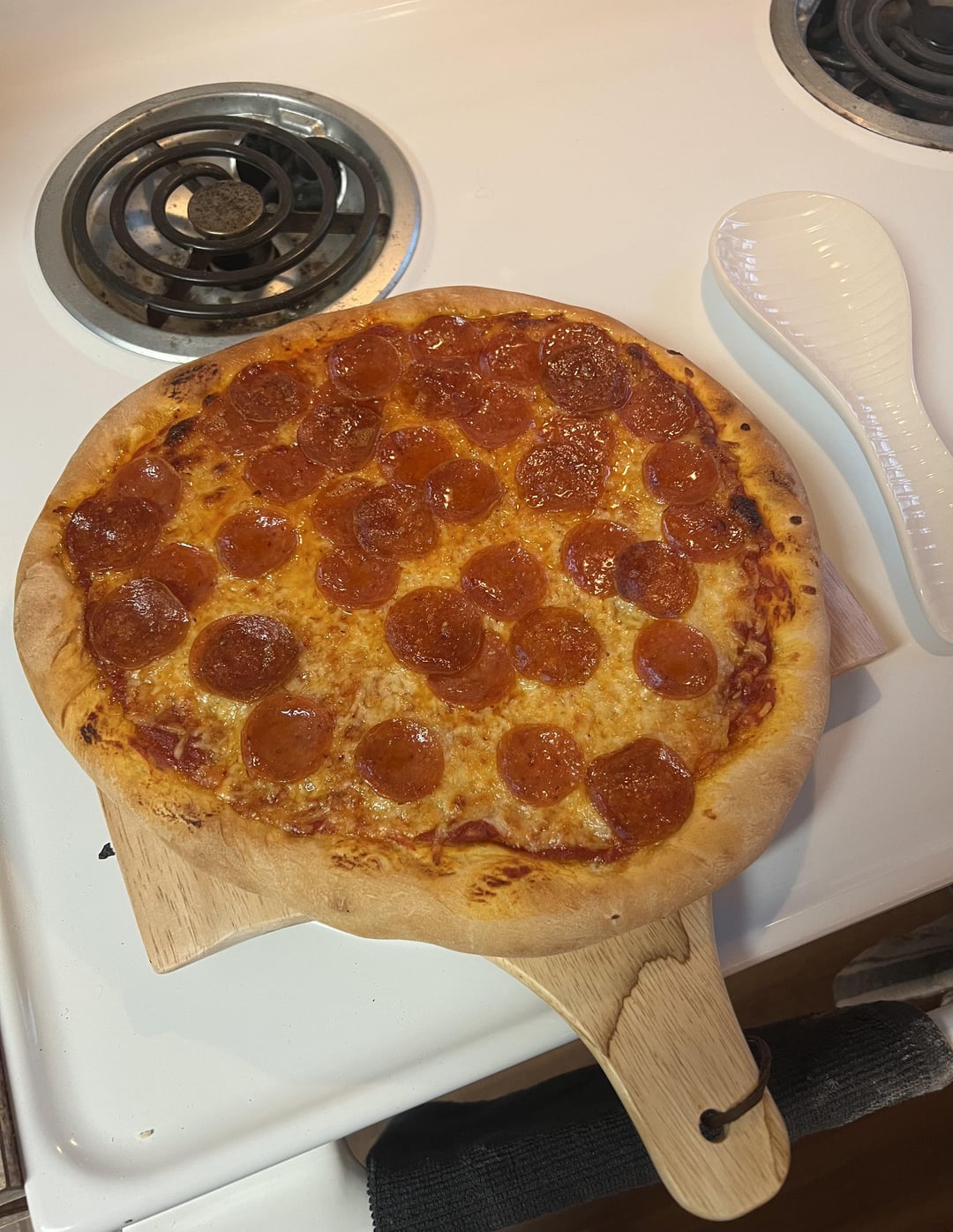 Just a regular pizza made in a regular oven - Dining and Cooking