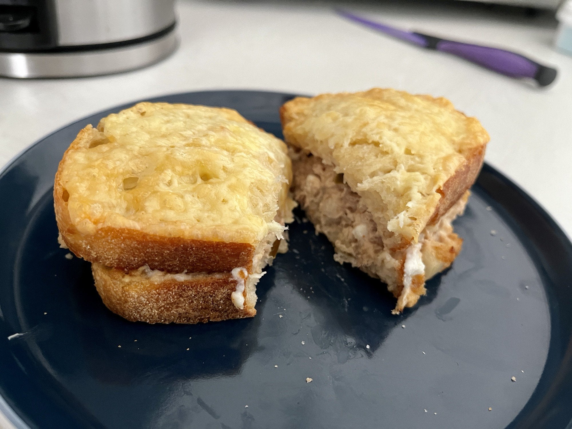 The best damn melt in the tunaverse (tuna, mayo, red onion, feta ...