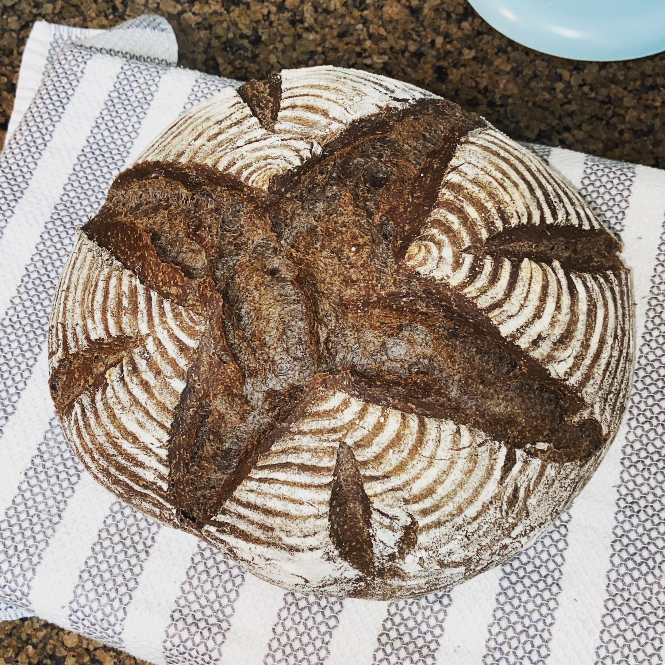 Pumpernickel boule fresh from the oven - Dining and Cooking