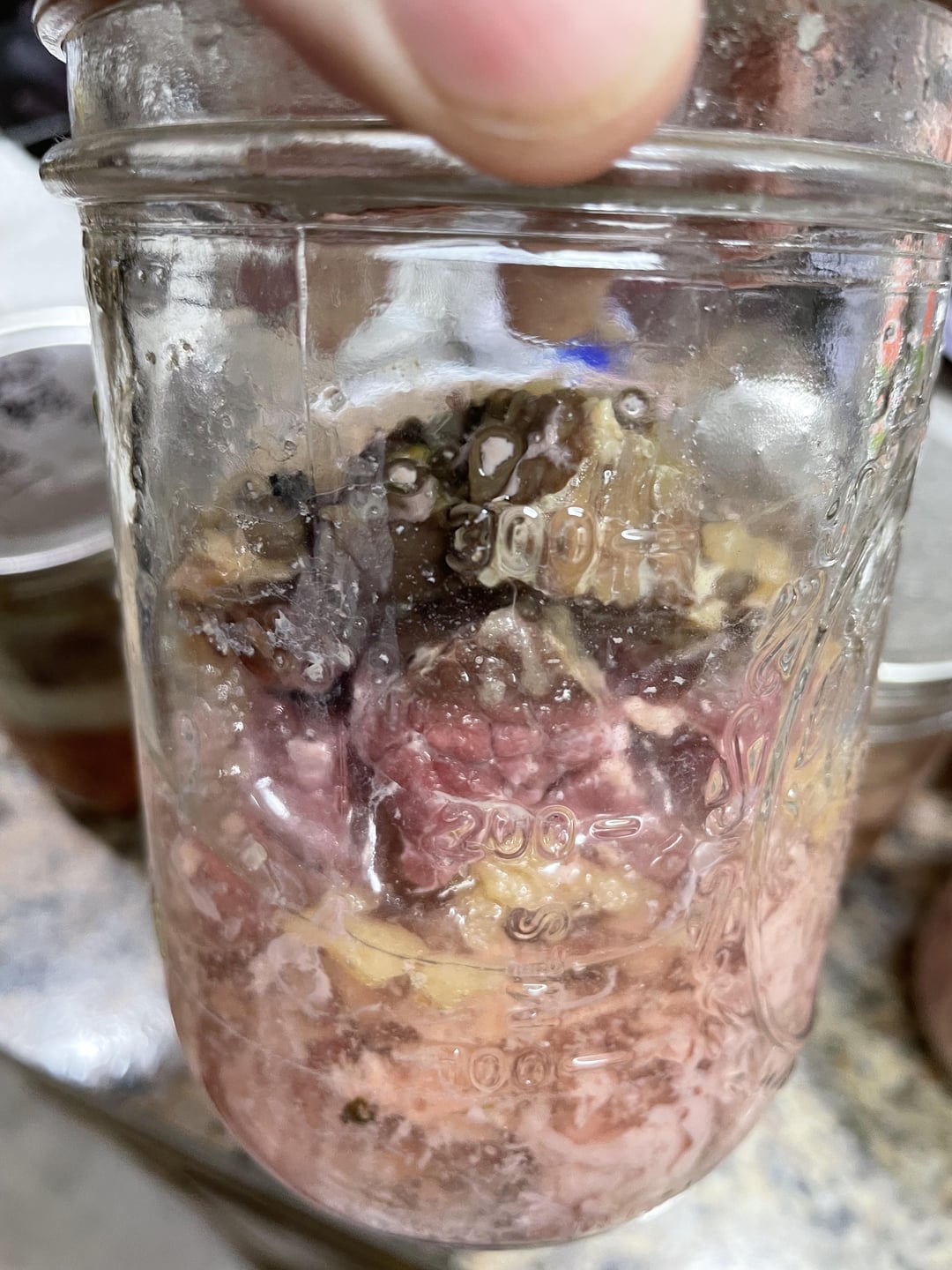 Discoloration on canned meat - Dining and Cooking