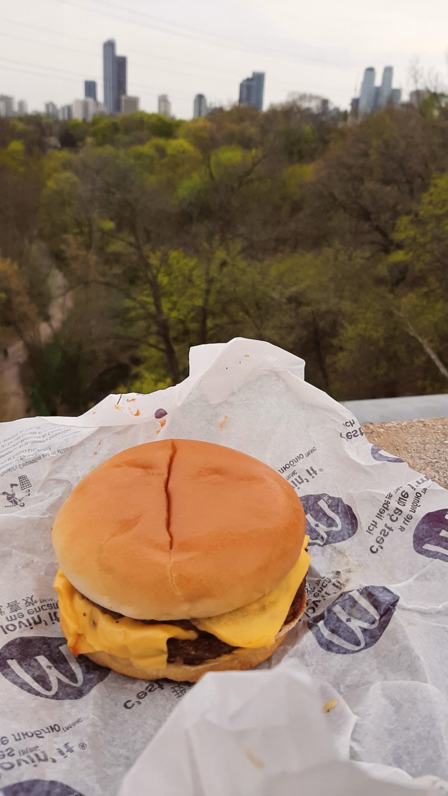 Bridgeside Triple Cheeseburger - Dining and Cooking