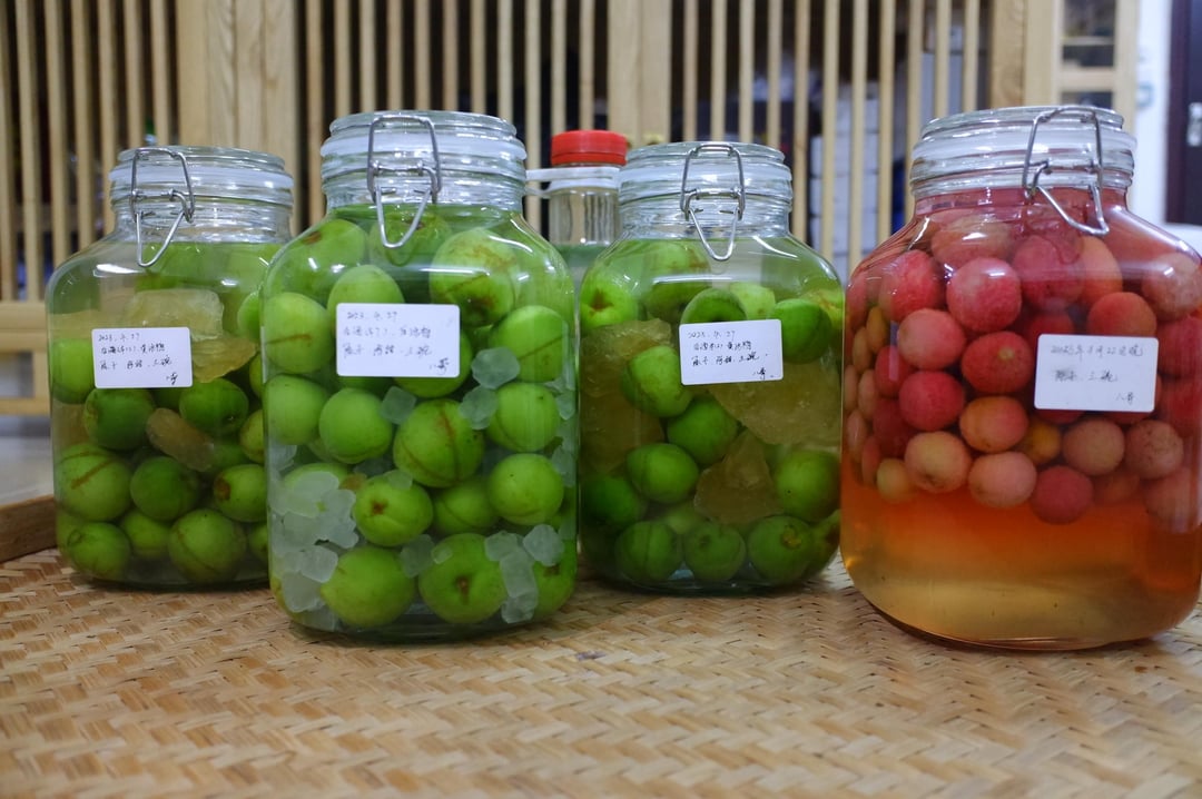 I would like to share two fruit wines that I made - plum and prune ...