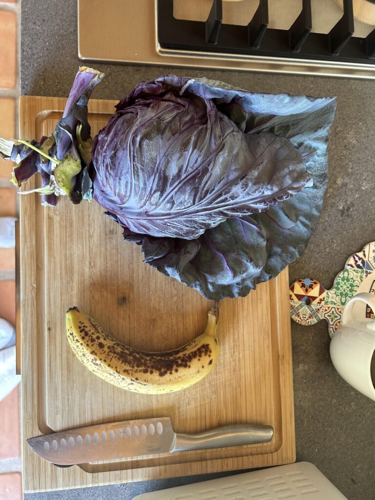 Cabbage harvest! I planted these a bit too late in the season but I’m ...
