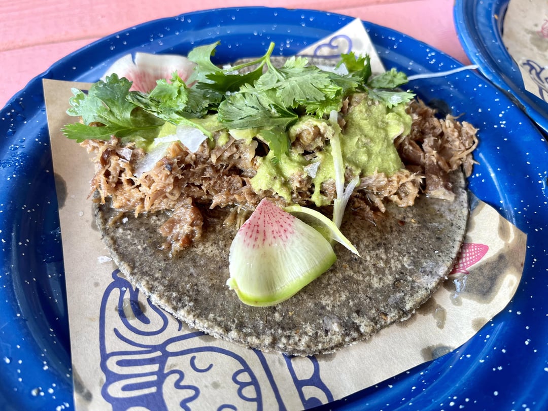 Nixta Taqueria in Austin, TX - Dining and Cooking