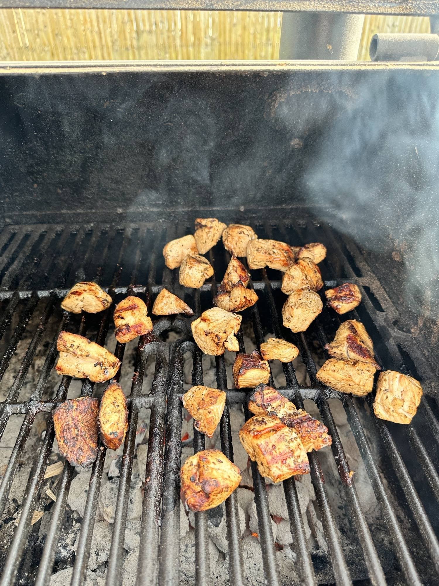 Chicken Speidies up in Vermont on the hot coals - Dining and Cooking