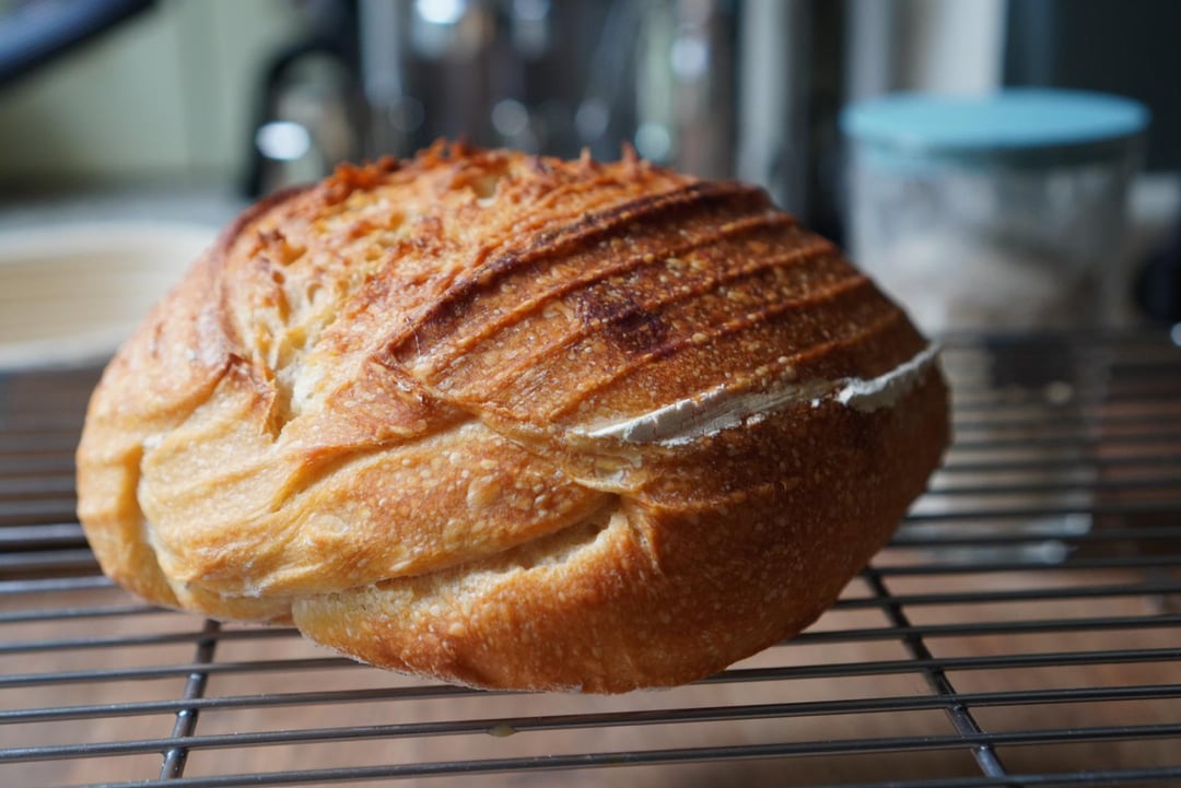My first (succeeded) sourdough. Using The Bread Code's method - Dining and Cooking