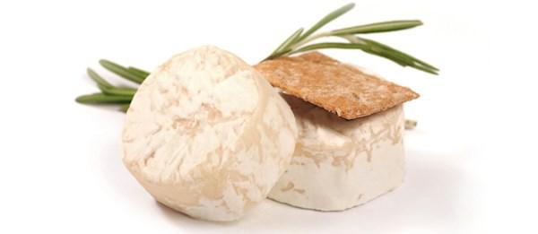 Day 1002 of posting images of cheese until I run out of cheese types ...