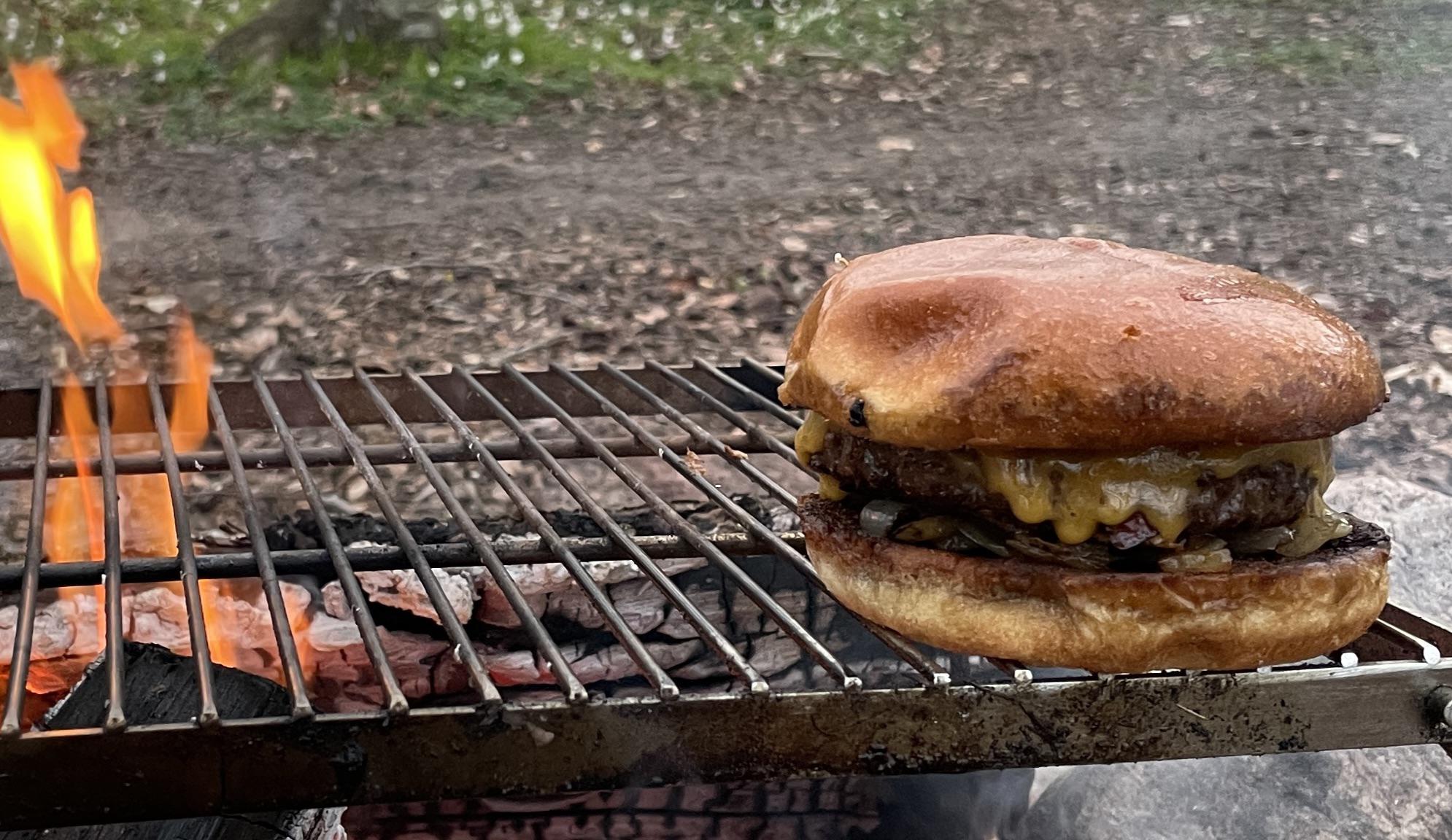 [homemade] Cheeseburger, with caramelized onions (and nothing else ...