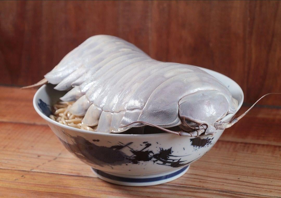 giant isopod ramen from Taiwan - Dining and Cooking