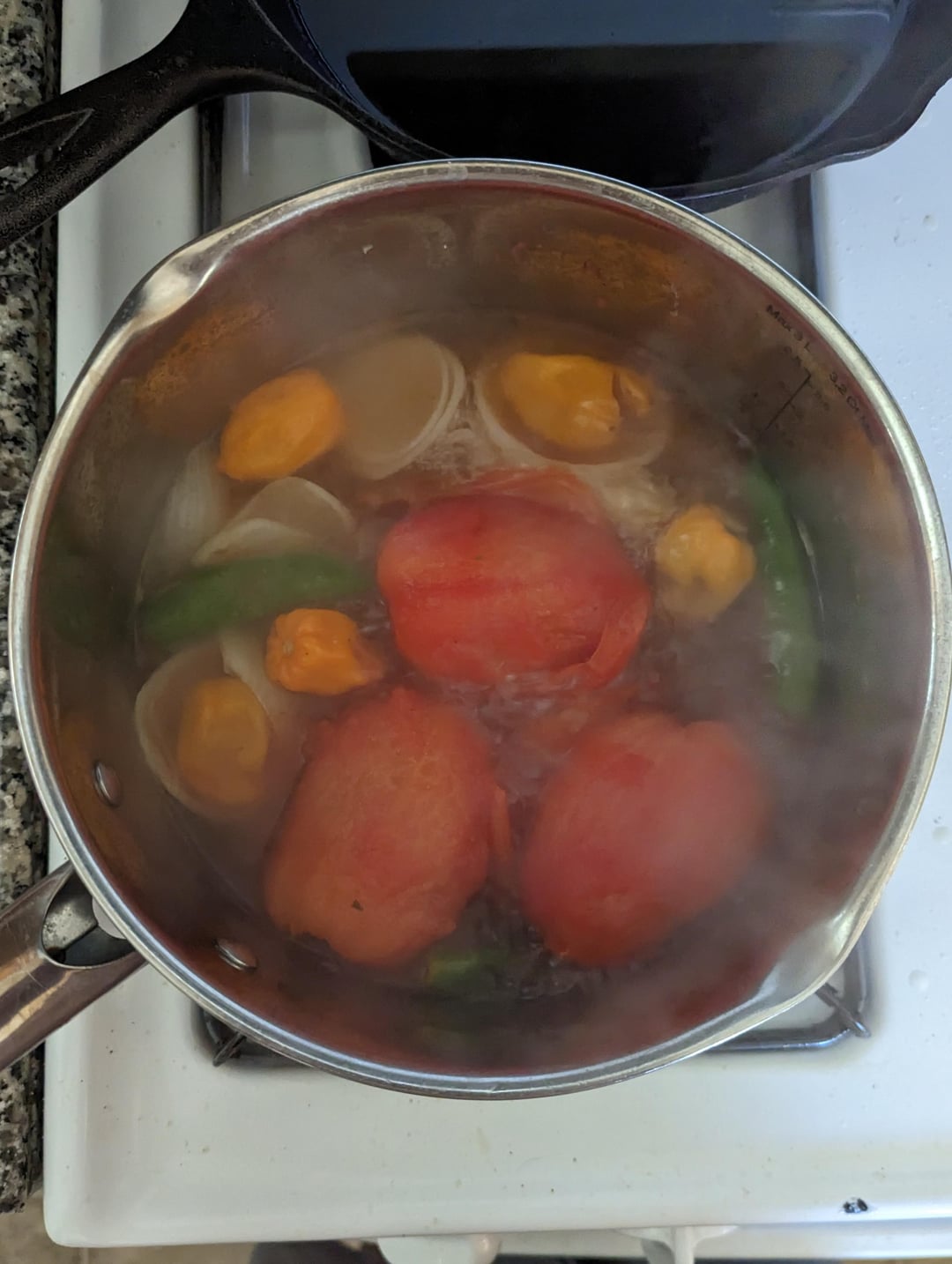 Breathing fire with leftover peppers and tomatoes before they spoil ...