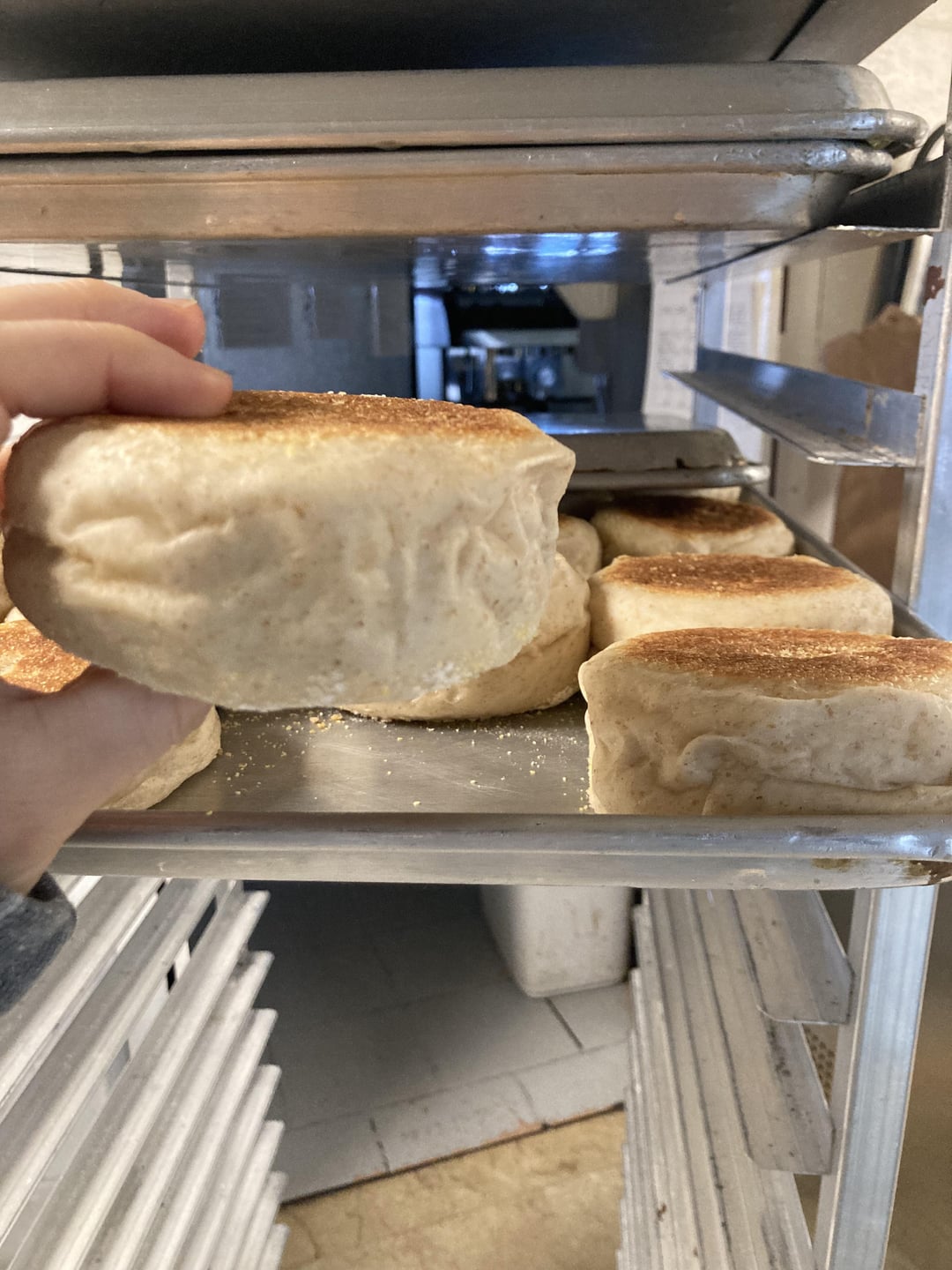 So proud of these fluffy muffs! - Dining and Cooking