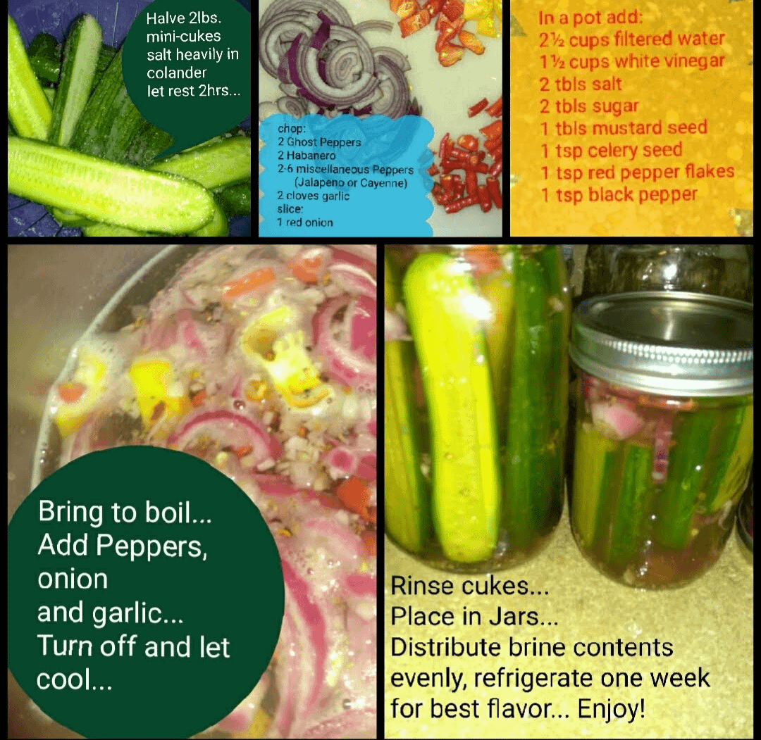 My personal Ghost Pepper Pickle recipe!🤘😁 - Dining and Cooking