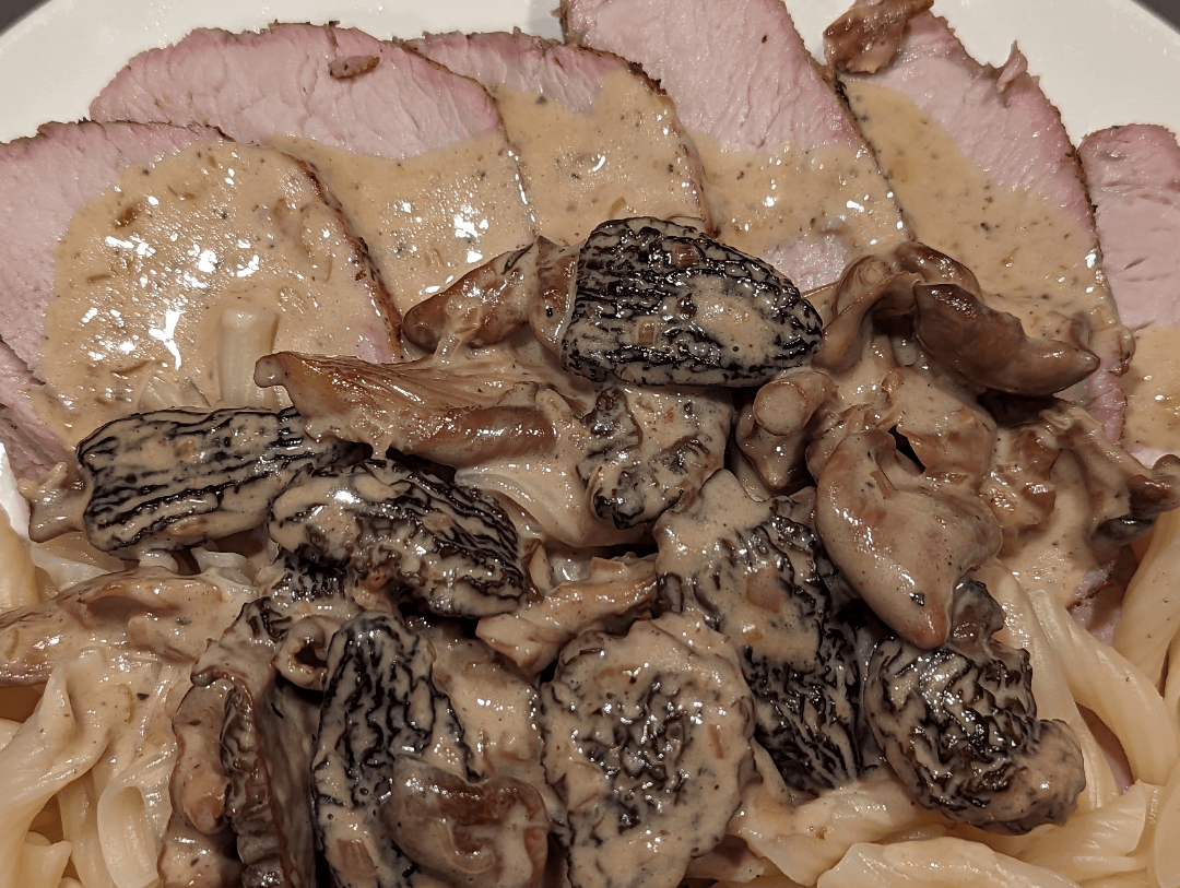 Morels in cream sauce with roasted pork loin. - Dining and Cooking