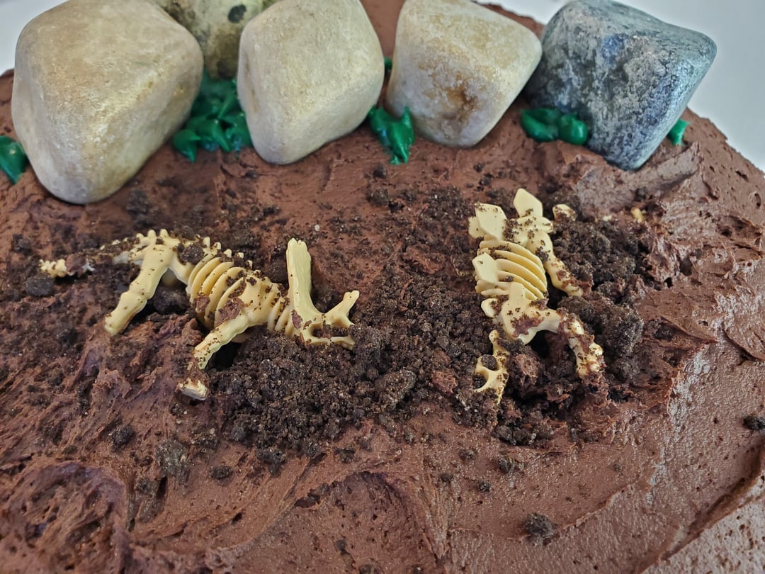 My son's 5th birthday cake. He's obsessed with dinosaurs so I did a ...