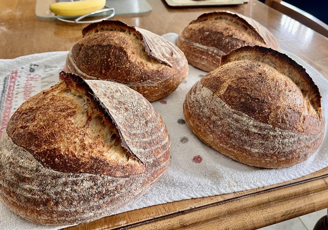 I made too much starter yesterday and decided not to let it go to waste ...