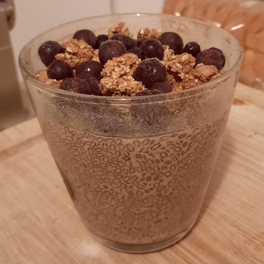 Was experimenting: psyllium pudding 95cal 20g fiber (without toppings ...