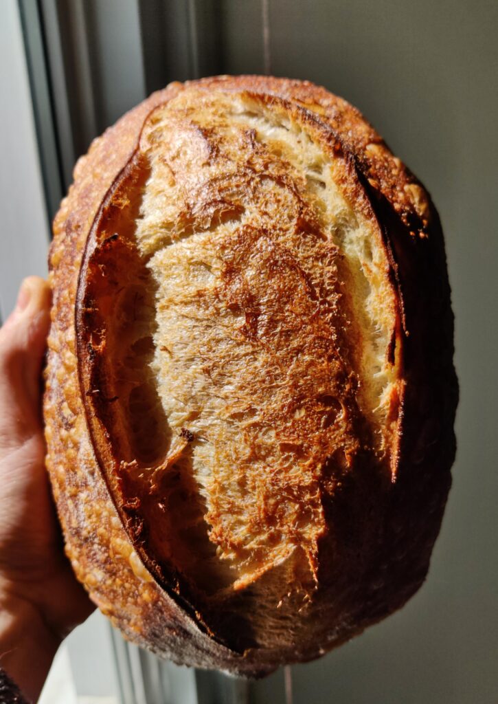 Shiny bread for a shiny weather. - Dining and Cooking