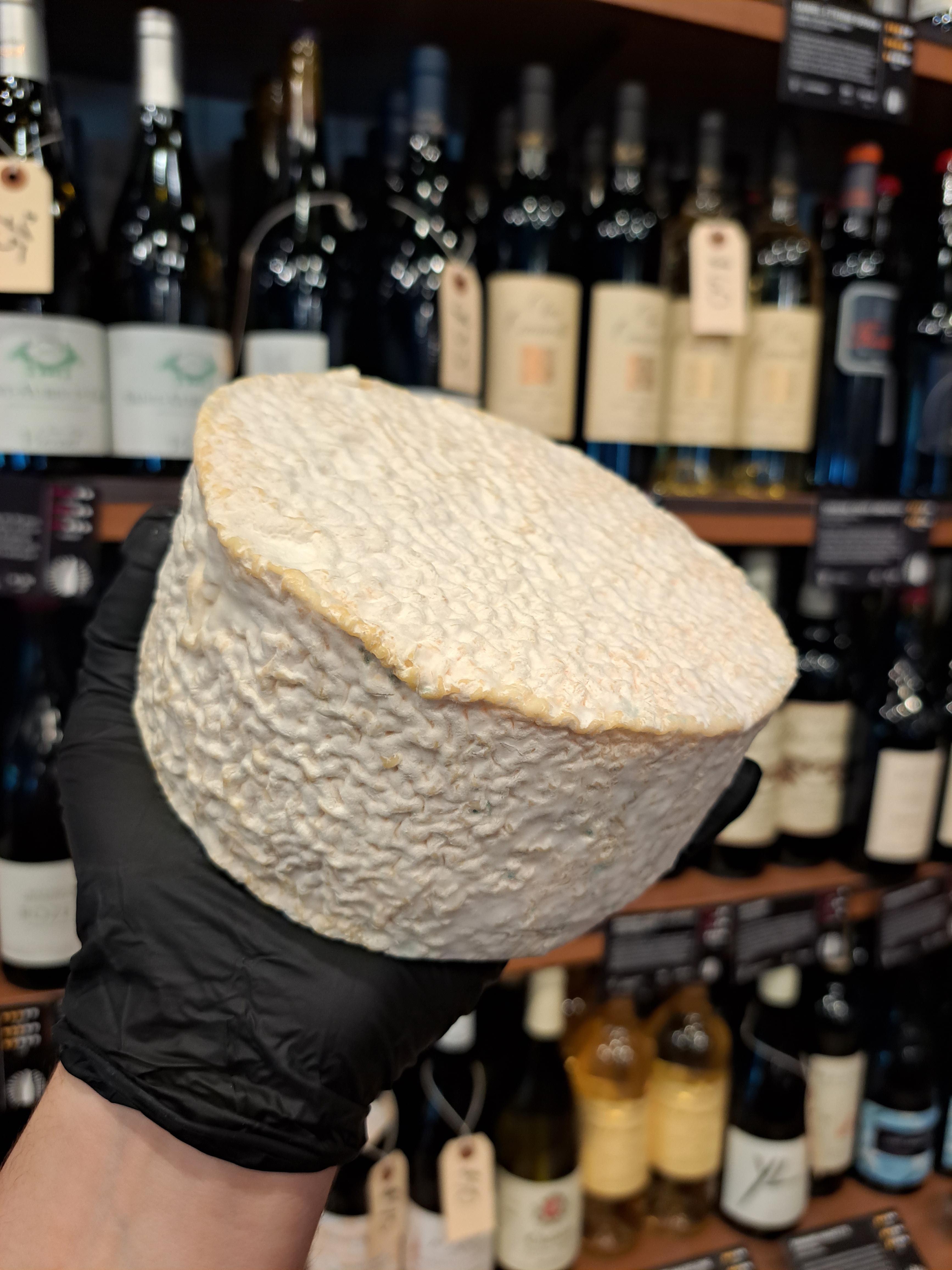 A fresh wheel of Shabby Shoe from Blakesville Creamery - Dining and Cooking