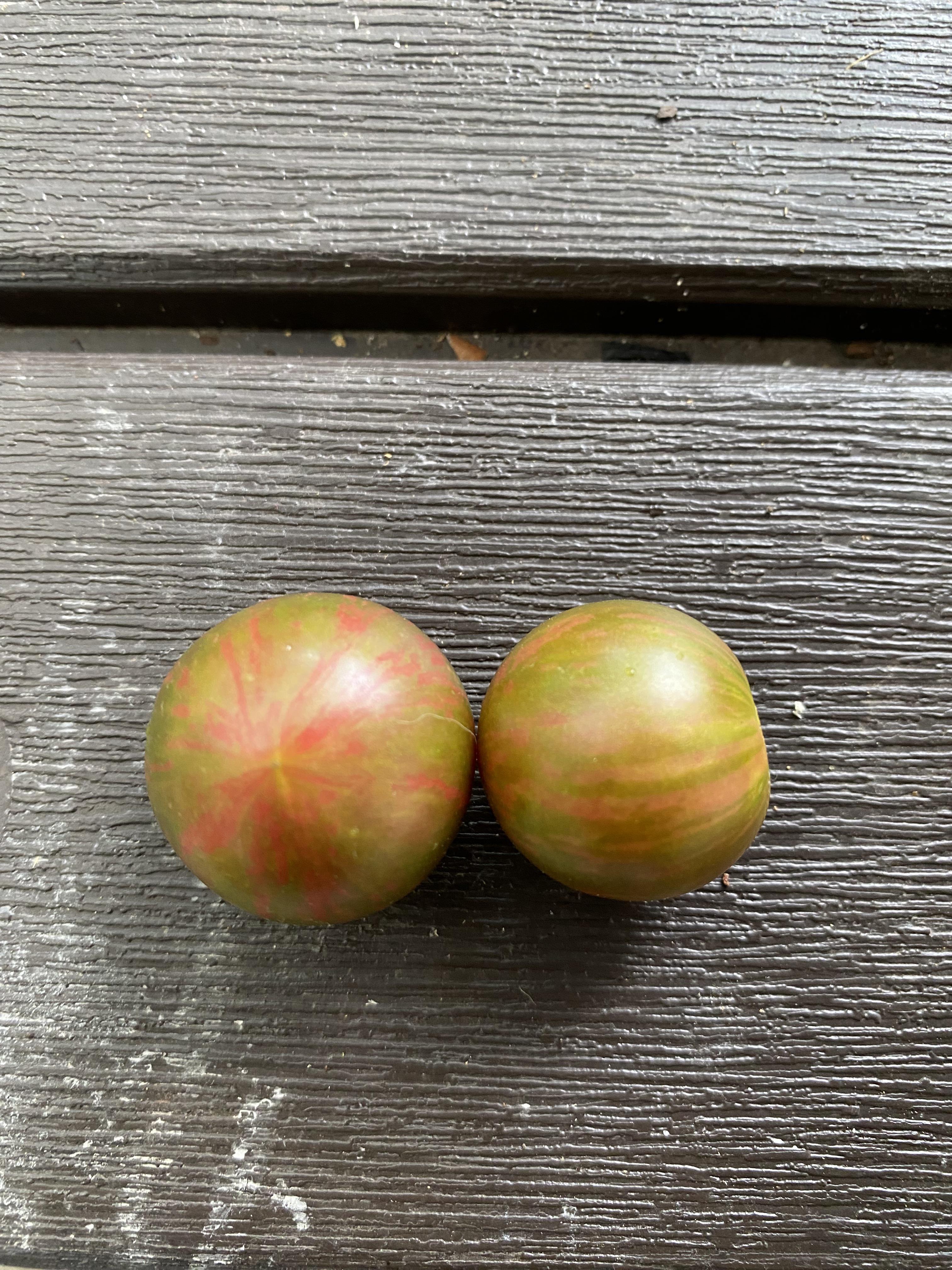 Picked my very first purple bumblebee tomatoes. - Dining and Cooking
