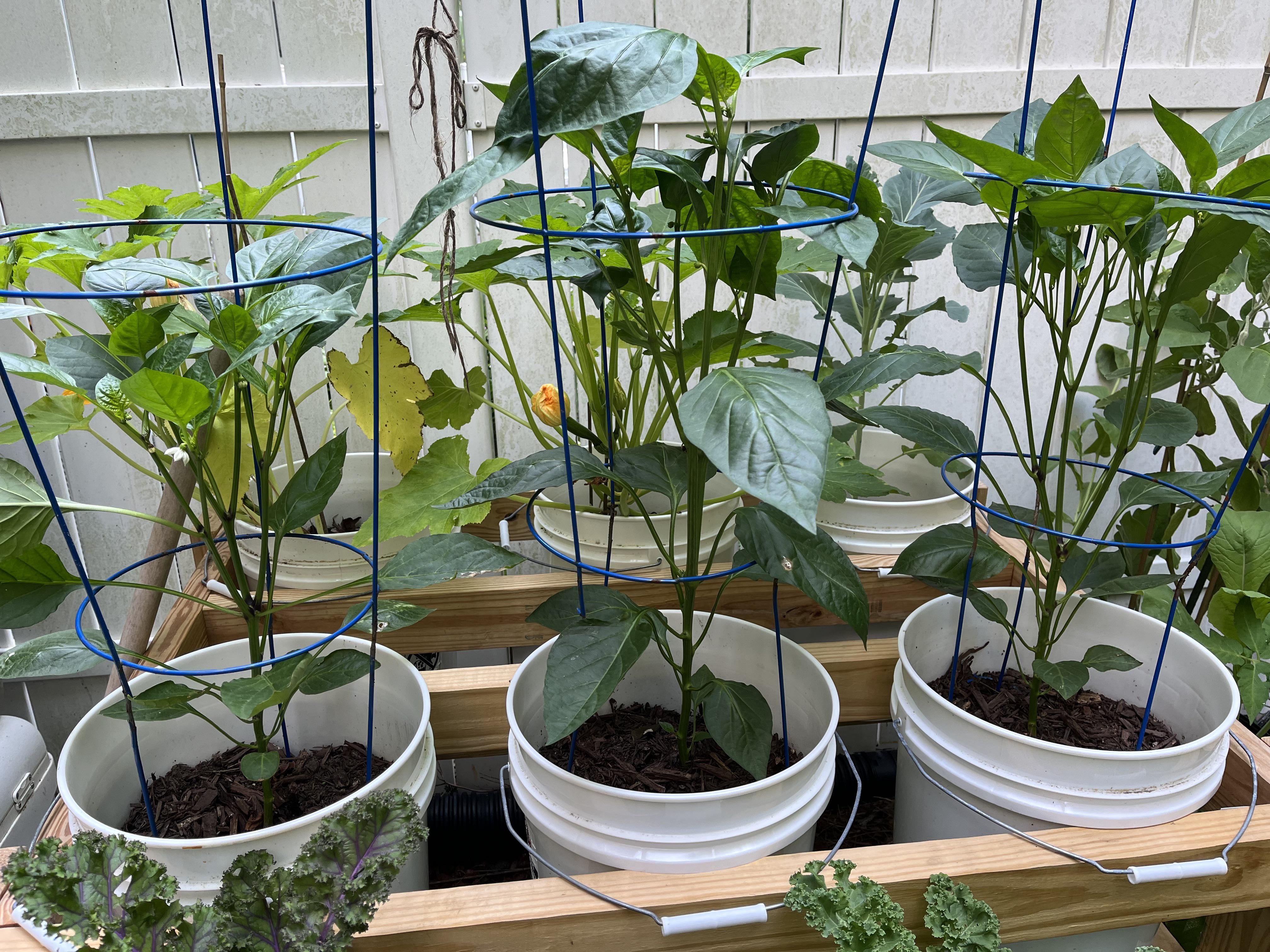 2 bells and 1 Fresno - Dining and Cooking