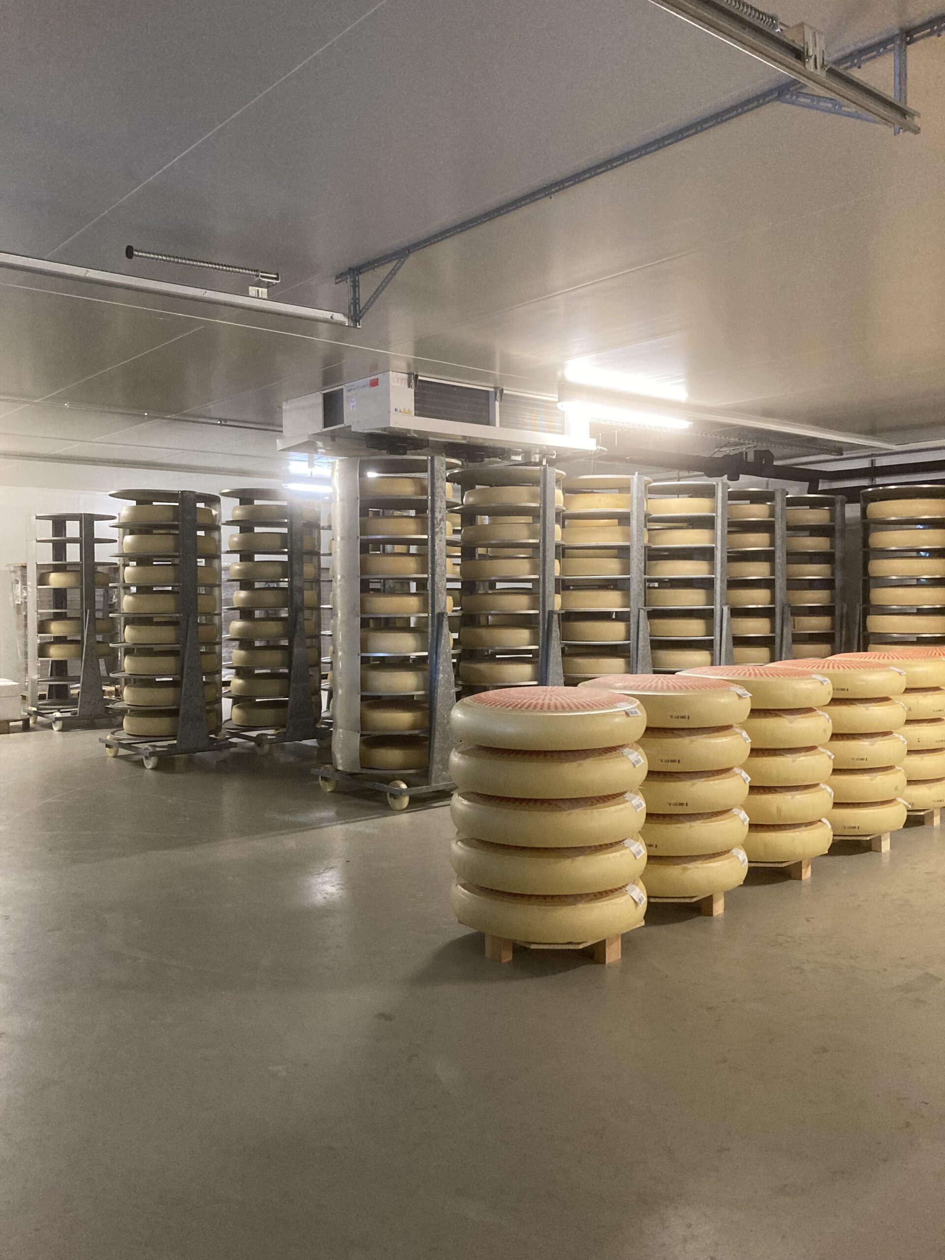 🧀cheese bank🧀 - Dining and Cooking