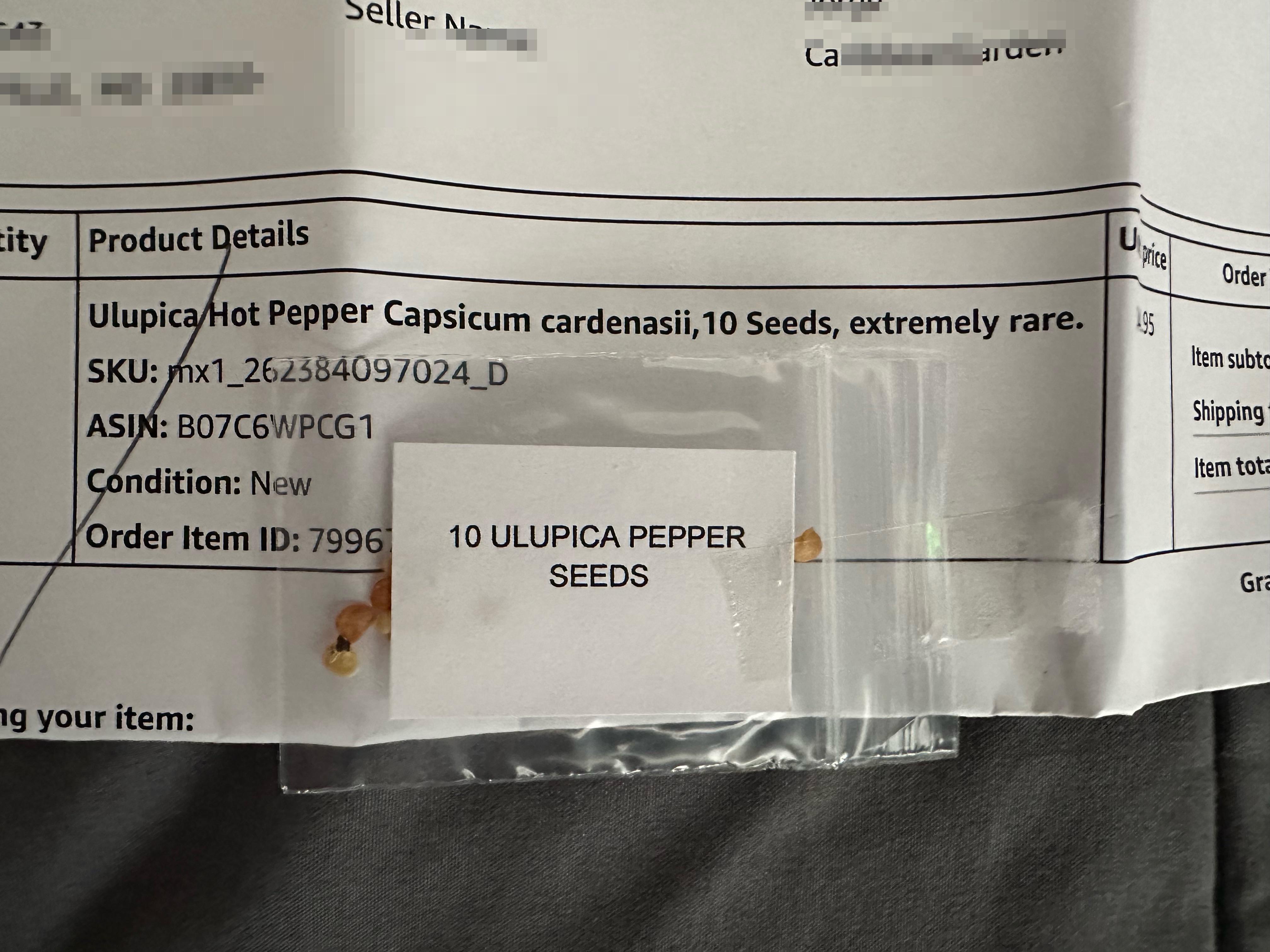 Ulupica Peppers - finally got my seeds delivered!This rare pepper is ...