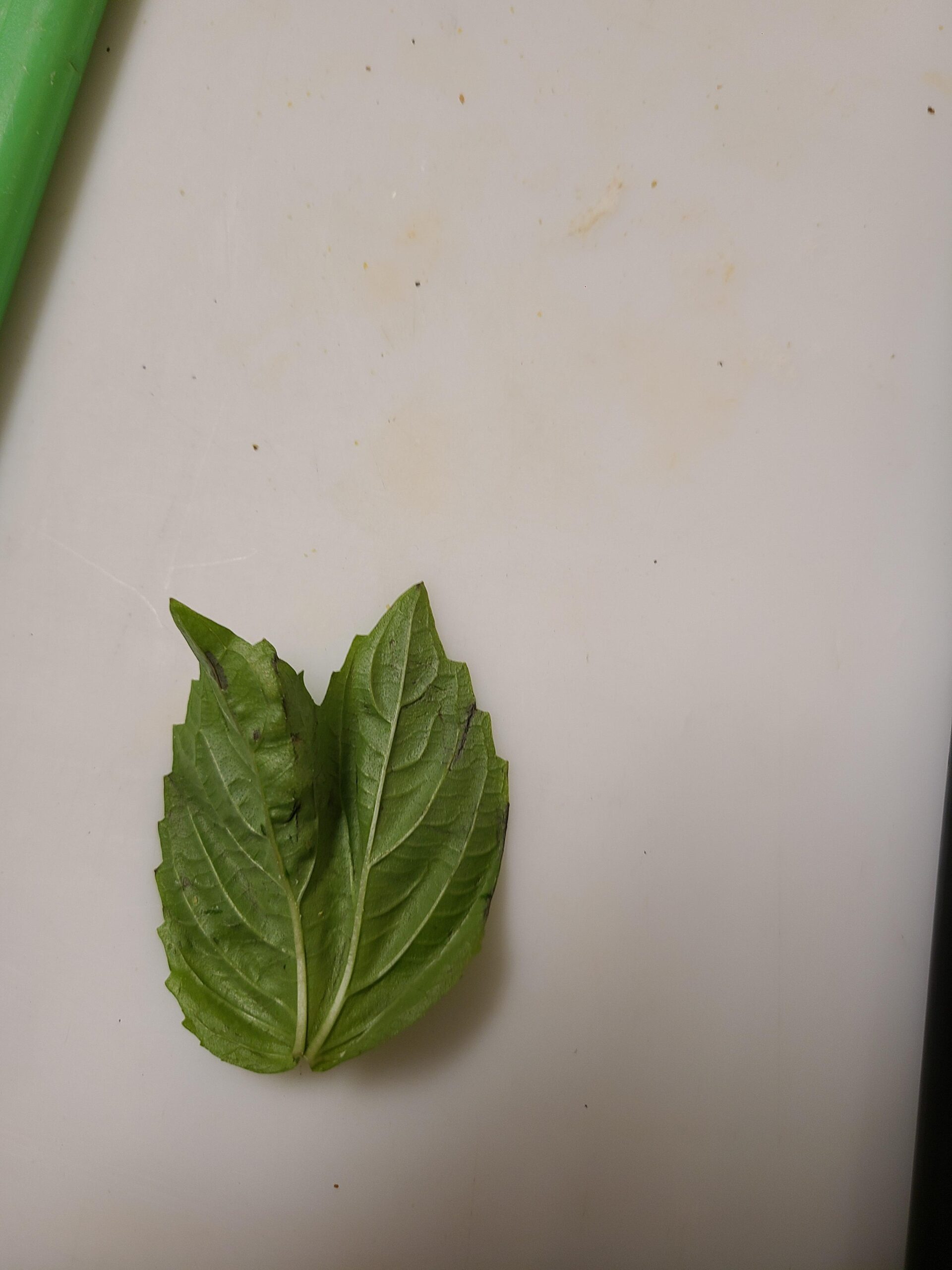 When two become one ️ - Dining and Cooking