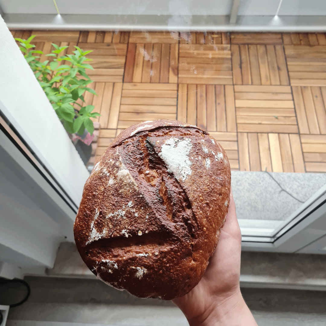 40% whole rye at 70% hydration, rate my crumb. - Dining and Cooking