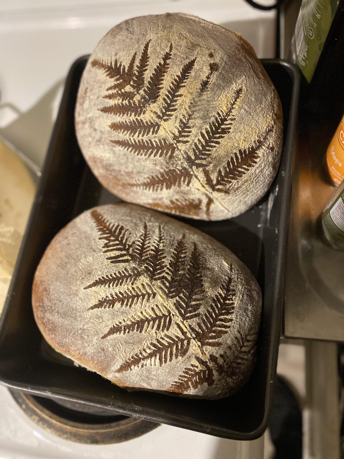 First time making Rēwana Parāoa (Māori (yeast free) potato bread) for ...