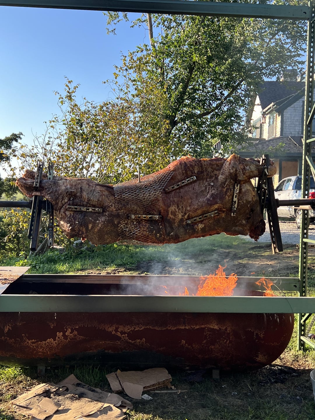 Smoked a 650 lb cow this weekend - Dining and Cooking