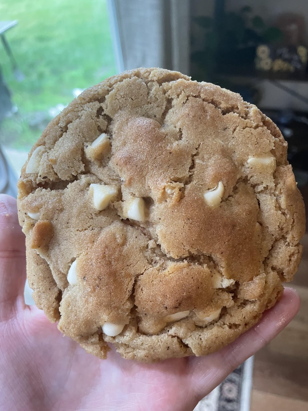 One of the most perfect looking cookies these hands have ever made ...